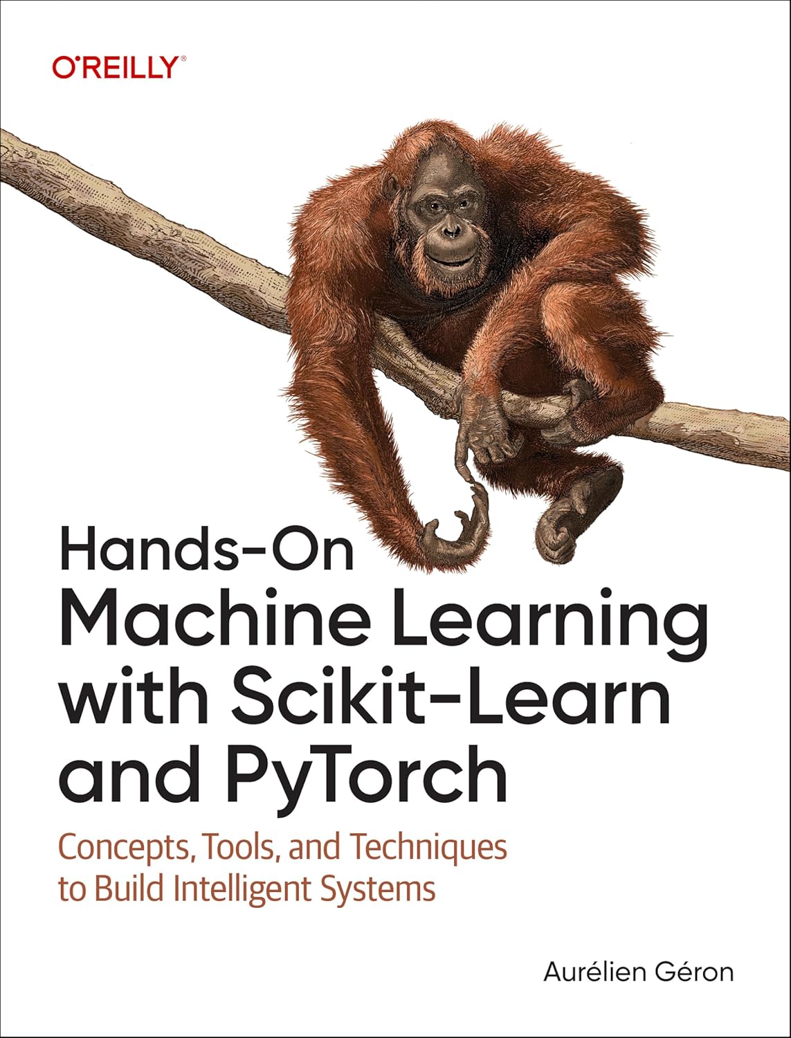 Hands On Machine Learning With Scikit Learn And Pytorch Concepts