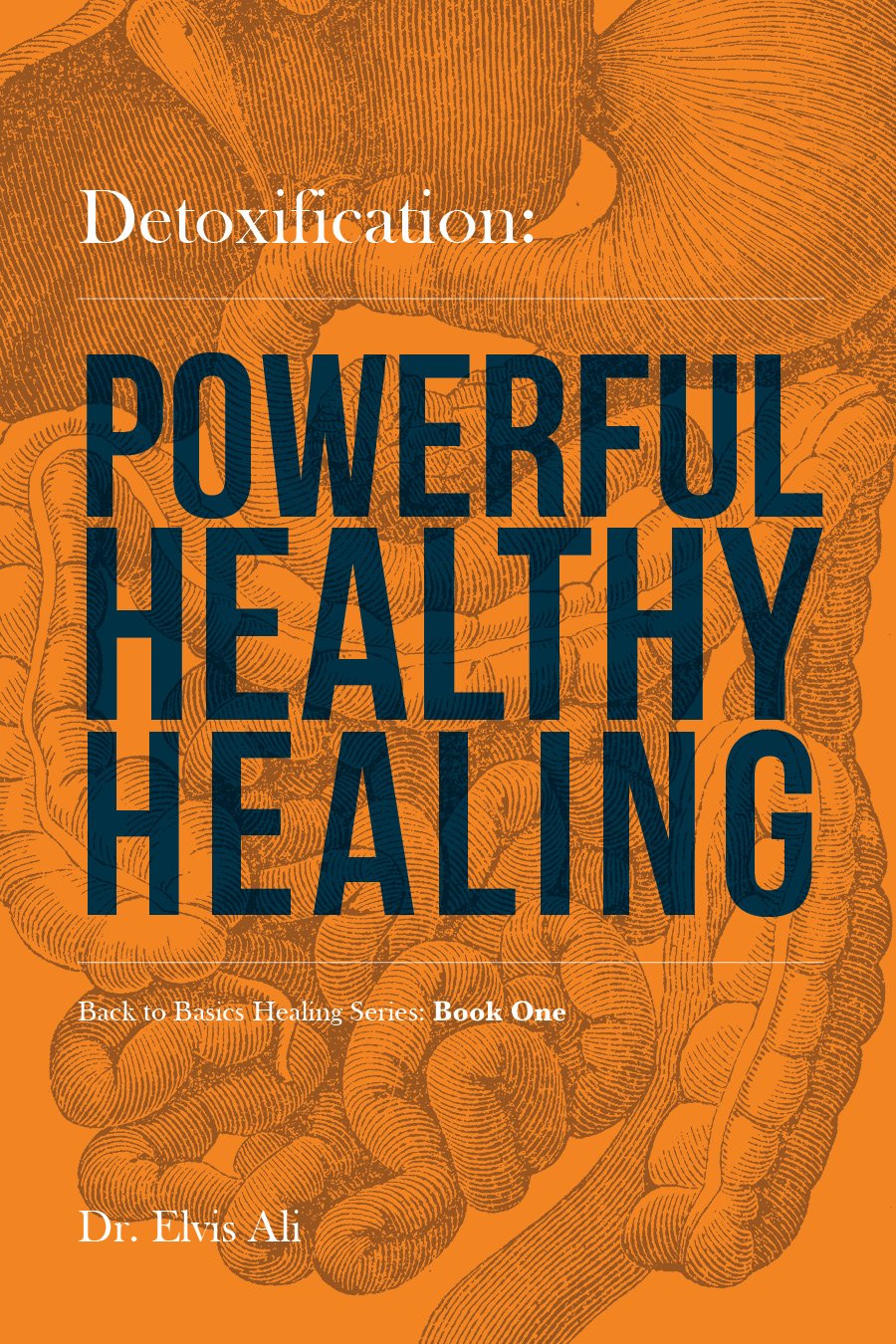 Detoxification: Powerful, Healthy Healing (Back to Basics Healing ...