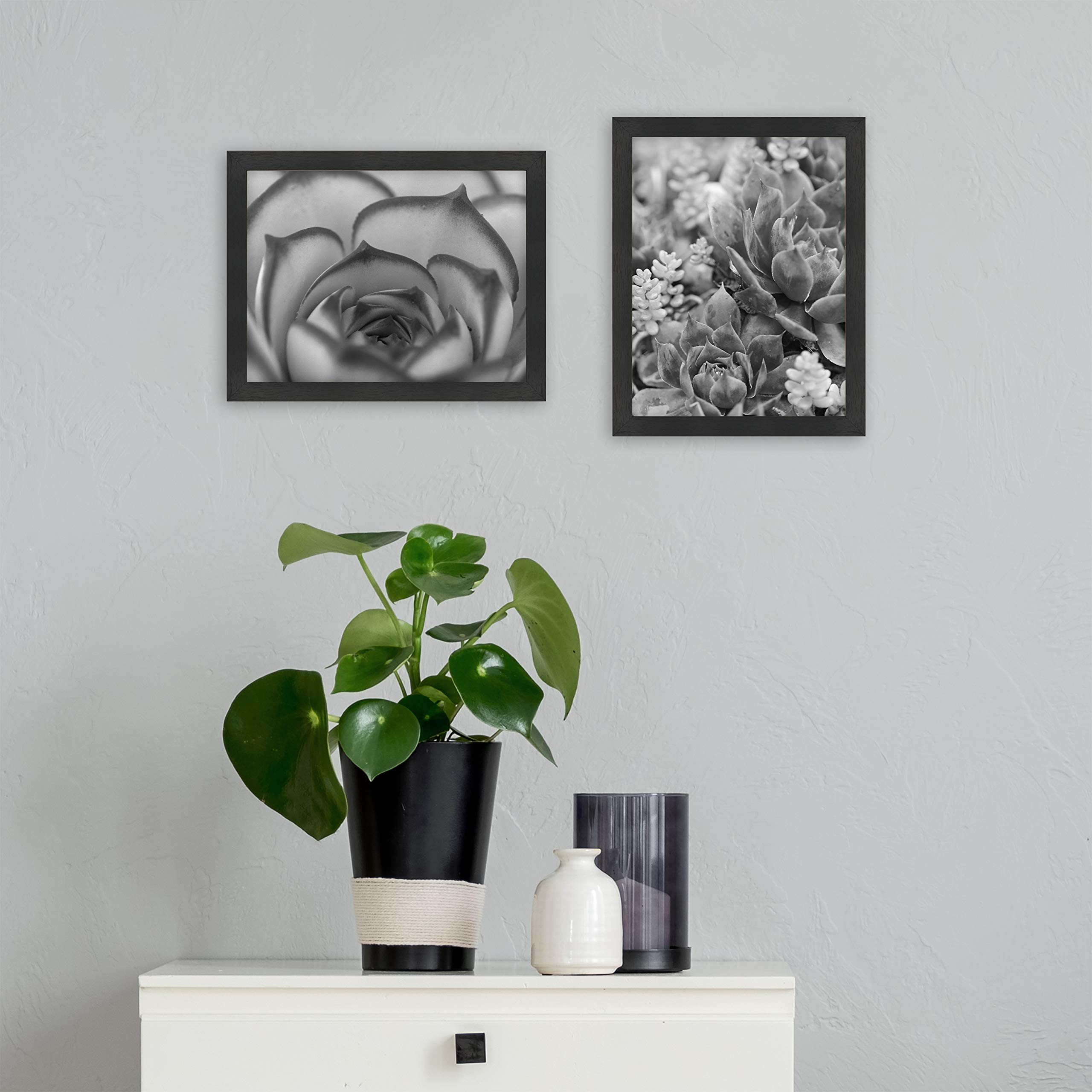 Snapklik.com : MCS Gallery Essential Certificate Document Frame Set