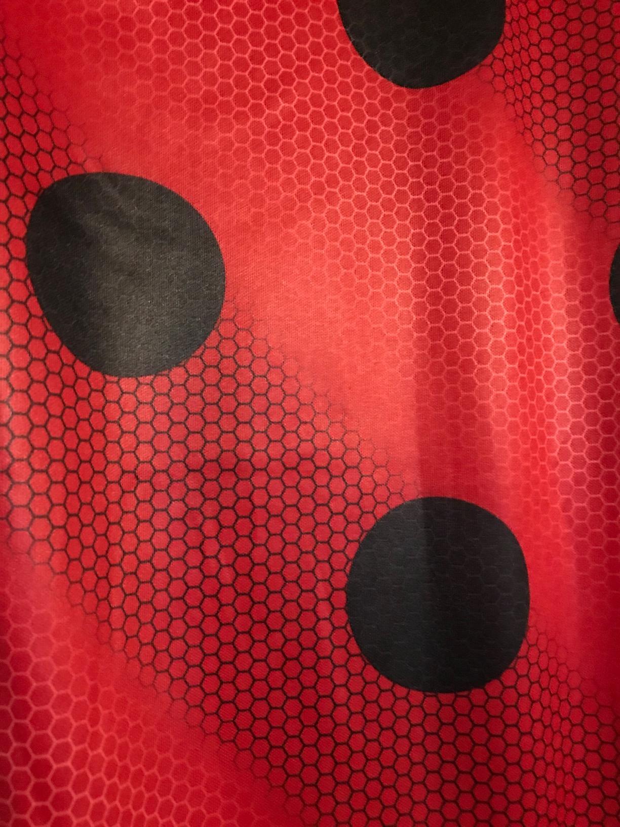 Rubies Miraculous Ladybug Children's Costume Carnival Halloween Girls ...