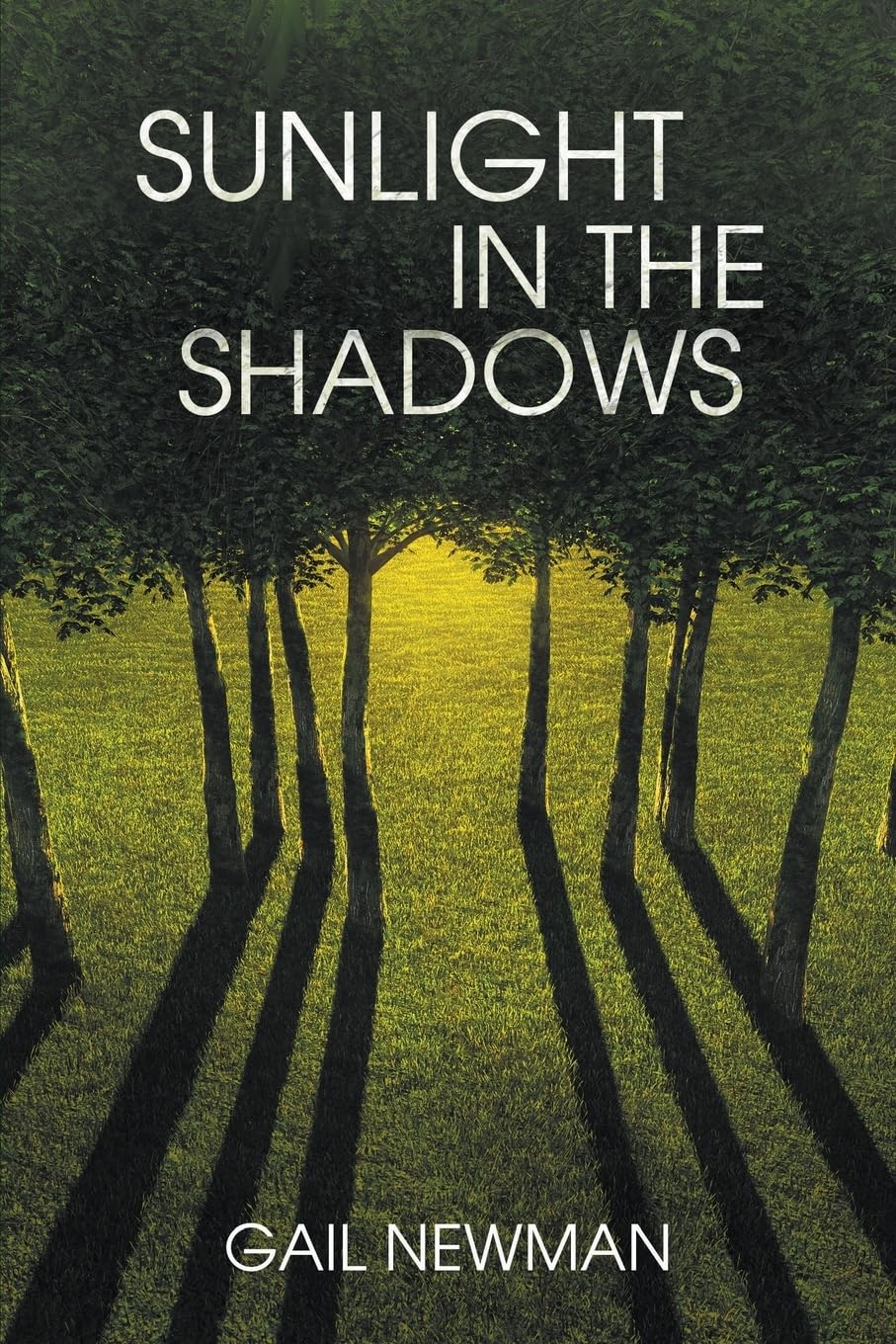 Sunlight in the Shadows: Newman, Gail: 9781942976578: Amazon.com: Books