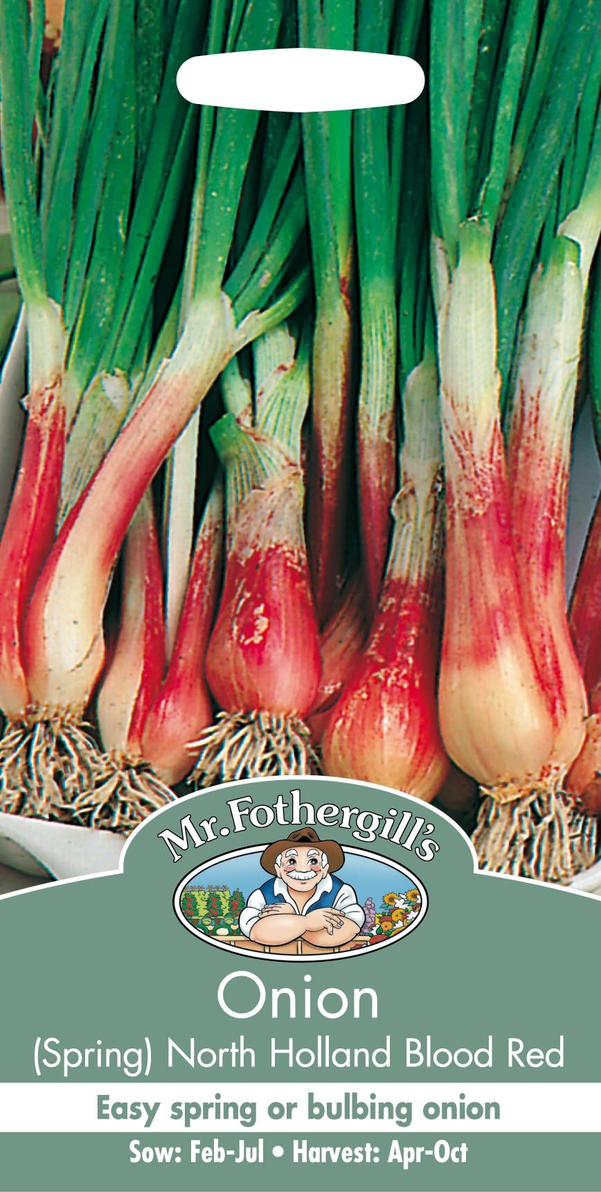 Suttons - Spring Onion Seeds - Red & White Mix : Amazon.co.uk: Garden