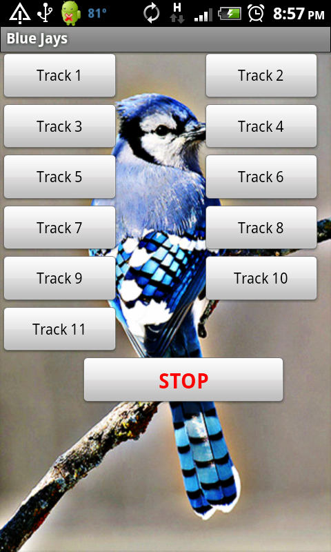 Blue Jays - Bird Sounds - App on Amazon Appstore