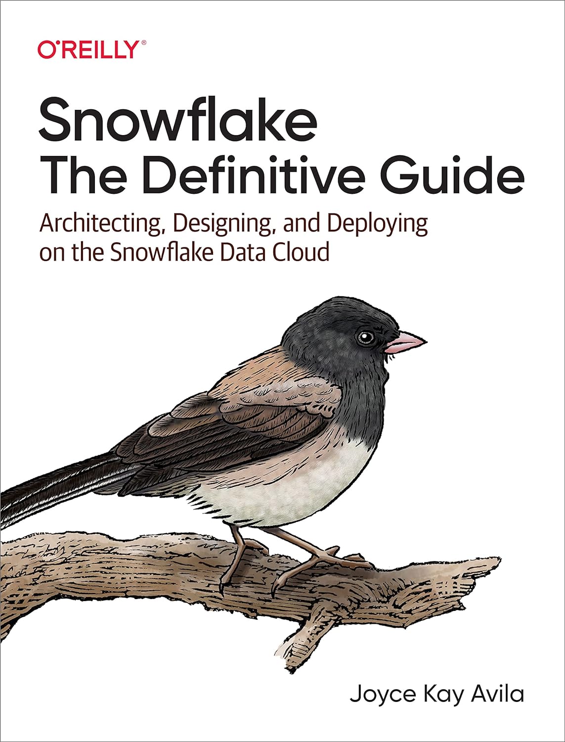 Amazon.com: Snowflake: The Definitive Guide: Architecting, Designing, and Deploying on the ...