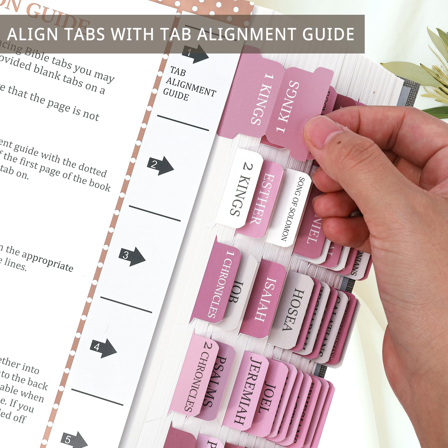 Snapklik.com : Pink Bible Tabs For Women & Men, Laminated Bible Tabs ...