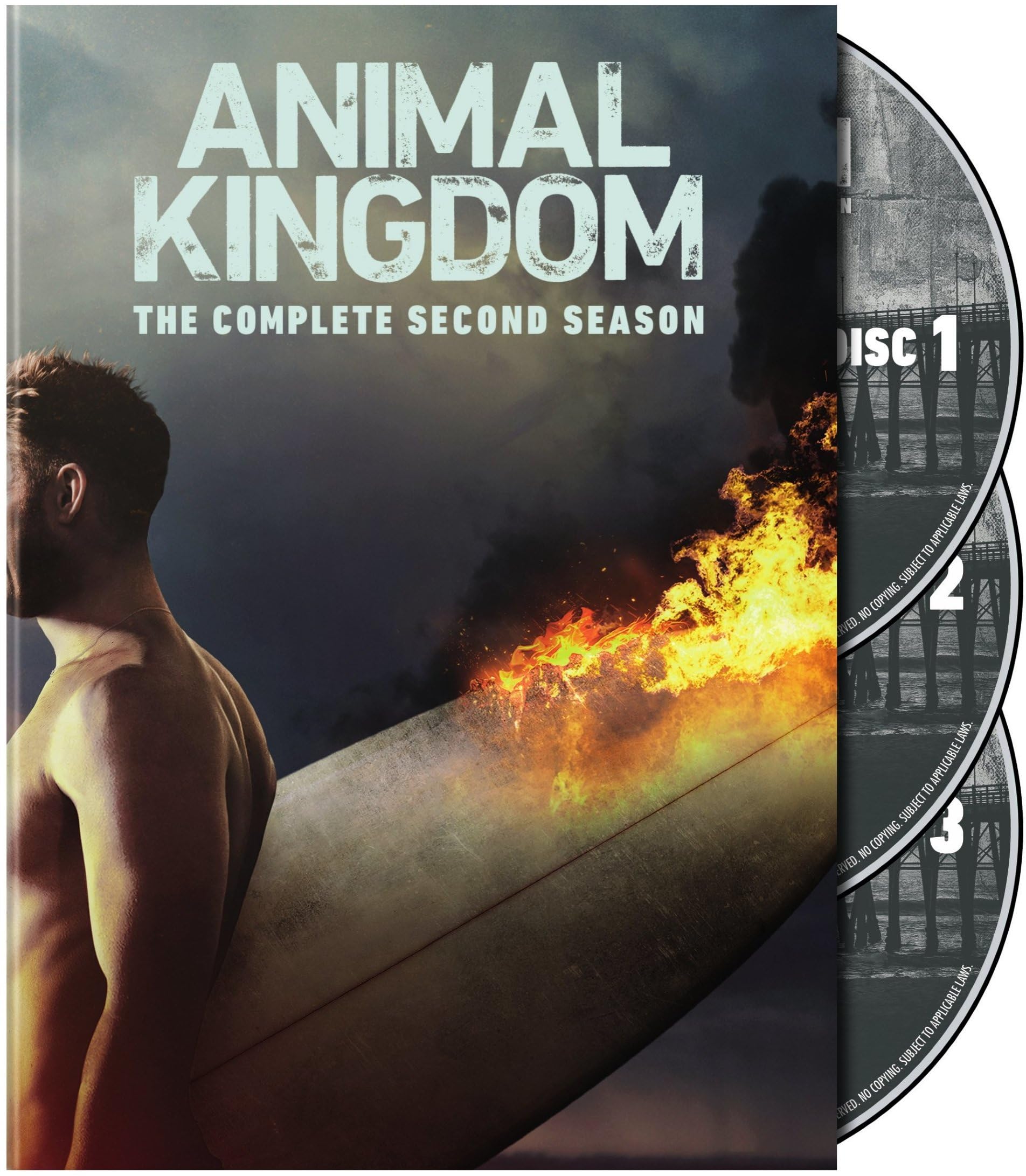 Amazon.com: Animal Kingdom: The Complete Second Season (DVD) : Ellen ...