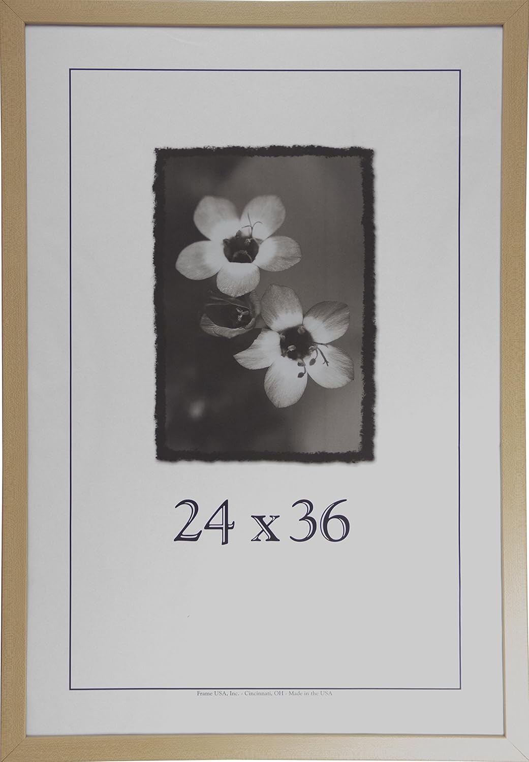 Amazon.com - Frame USA Corporate Series 24x36 Wood Frames for Art and ...