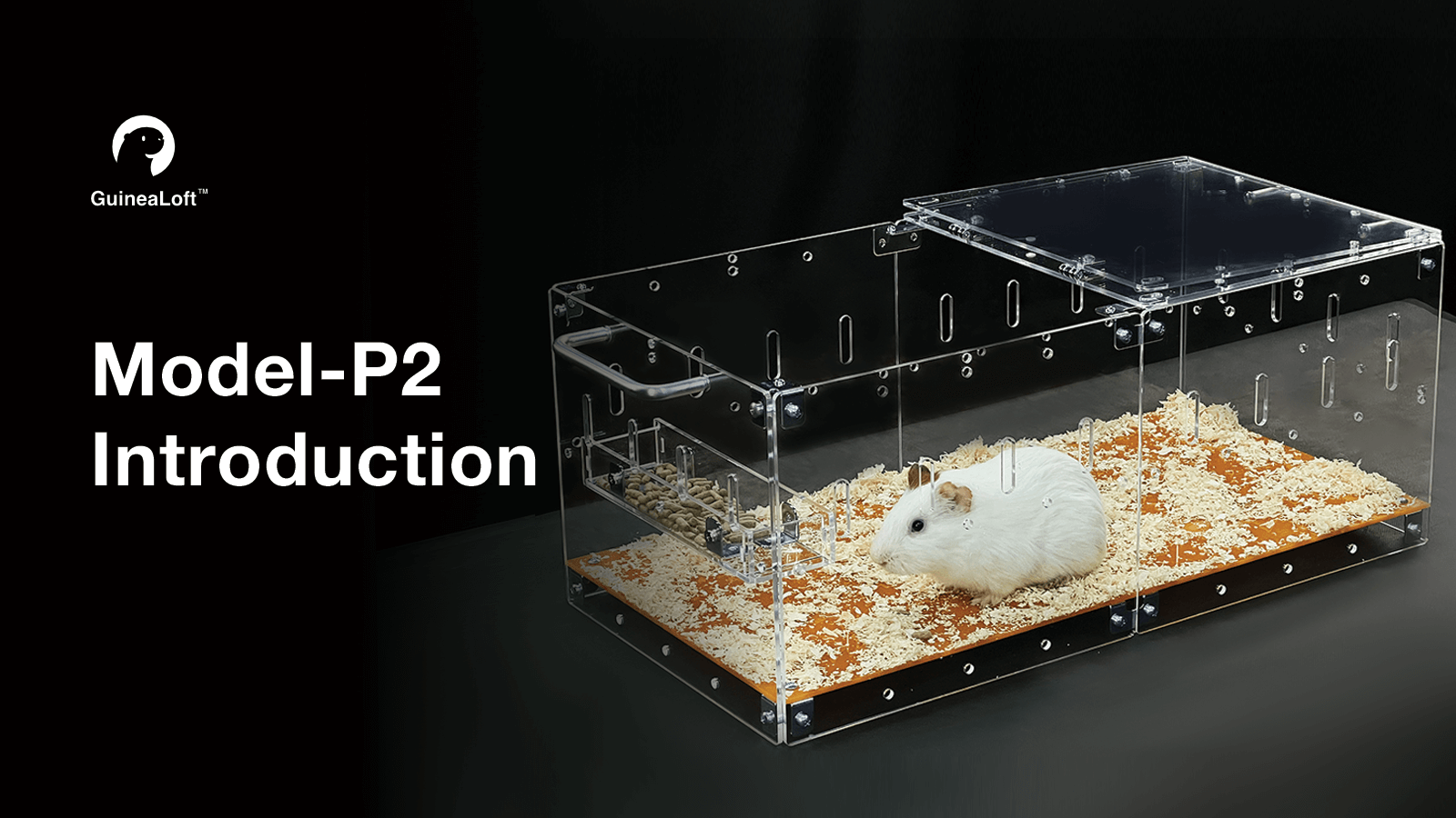 Hamster Cage GuineaLoft™ Acrylic Cage (Model-A) - Large 4x2ft Jamaica ...