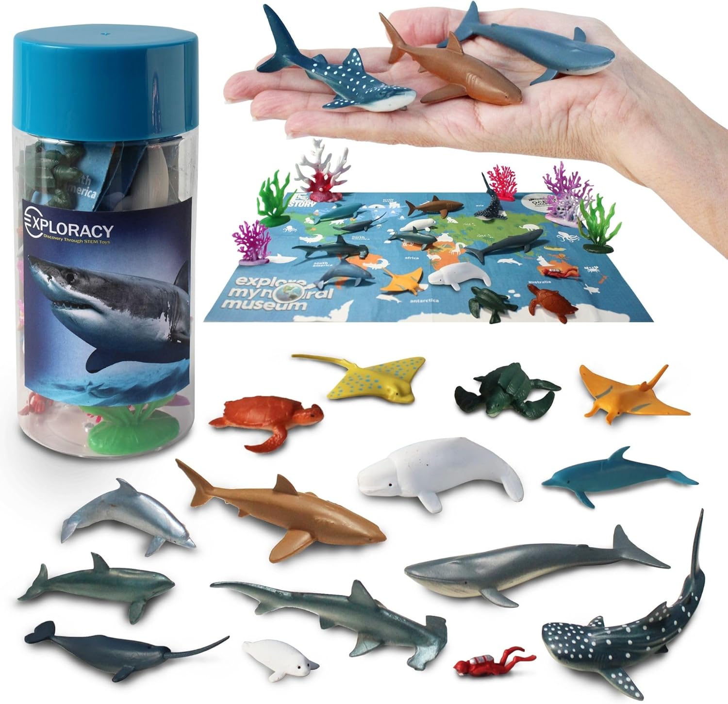 Amazon.com: EXPLORACY 15-Piece Mini Sea Animal Toys for Kids ...