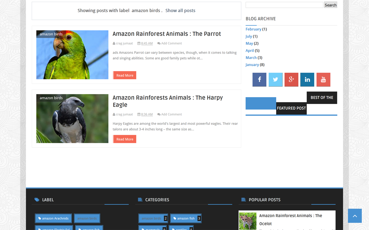 Learn Amazon rainforest Animals - App on Amazon Appstore