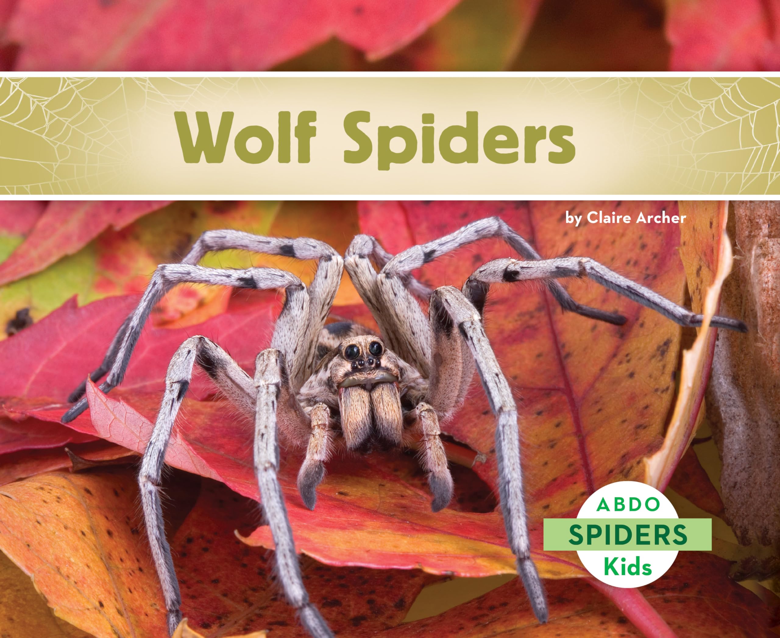 Wolf Spiders, Guided Reading Level I: Archer, Claire: 9781731645333 ...