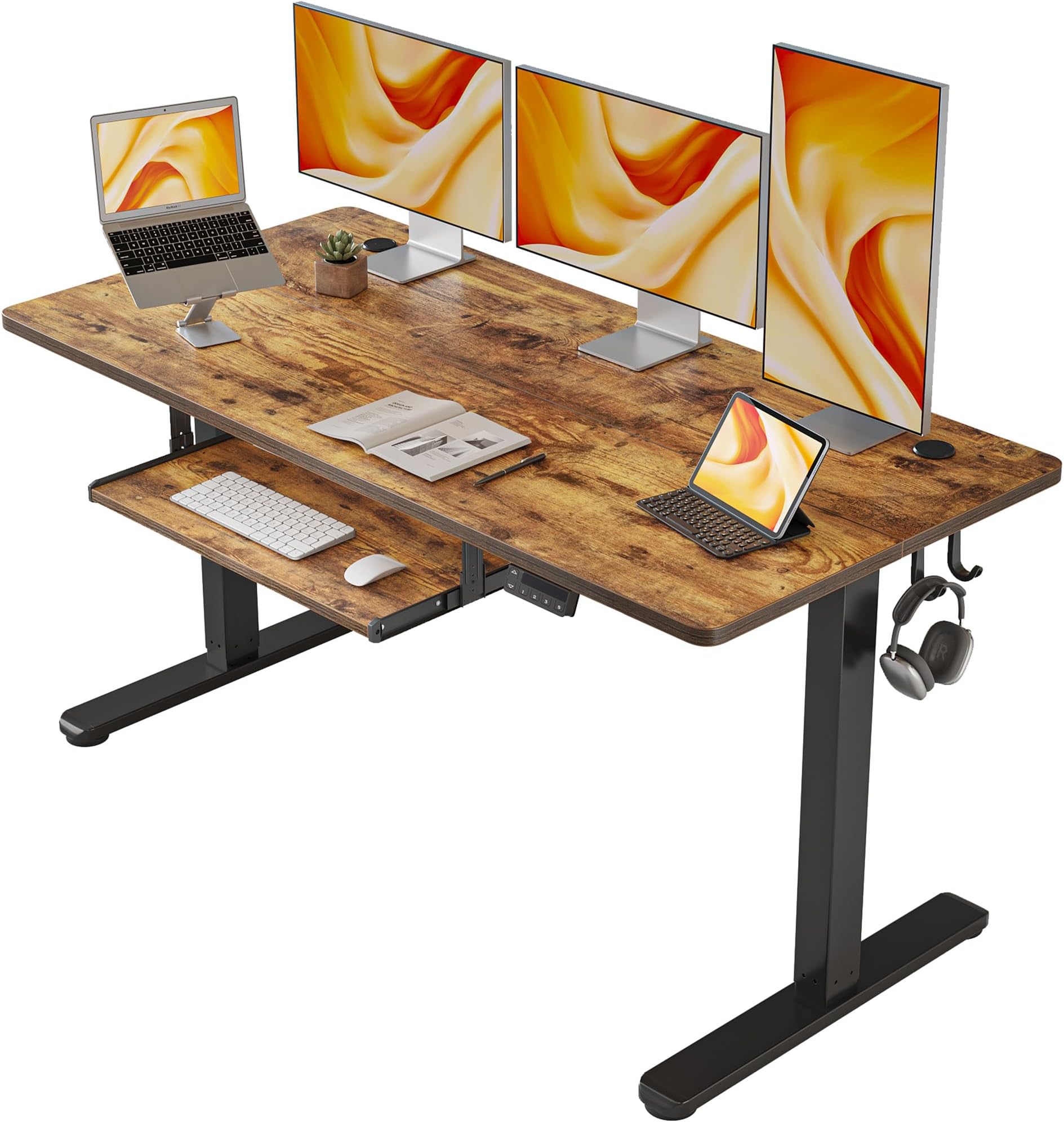 Amazon.com: ErGear Height Adjustable Electric Standing Desk Single ...