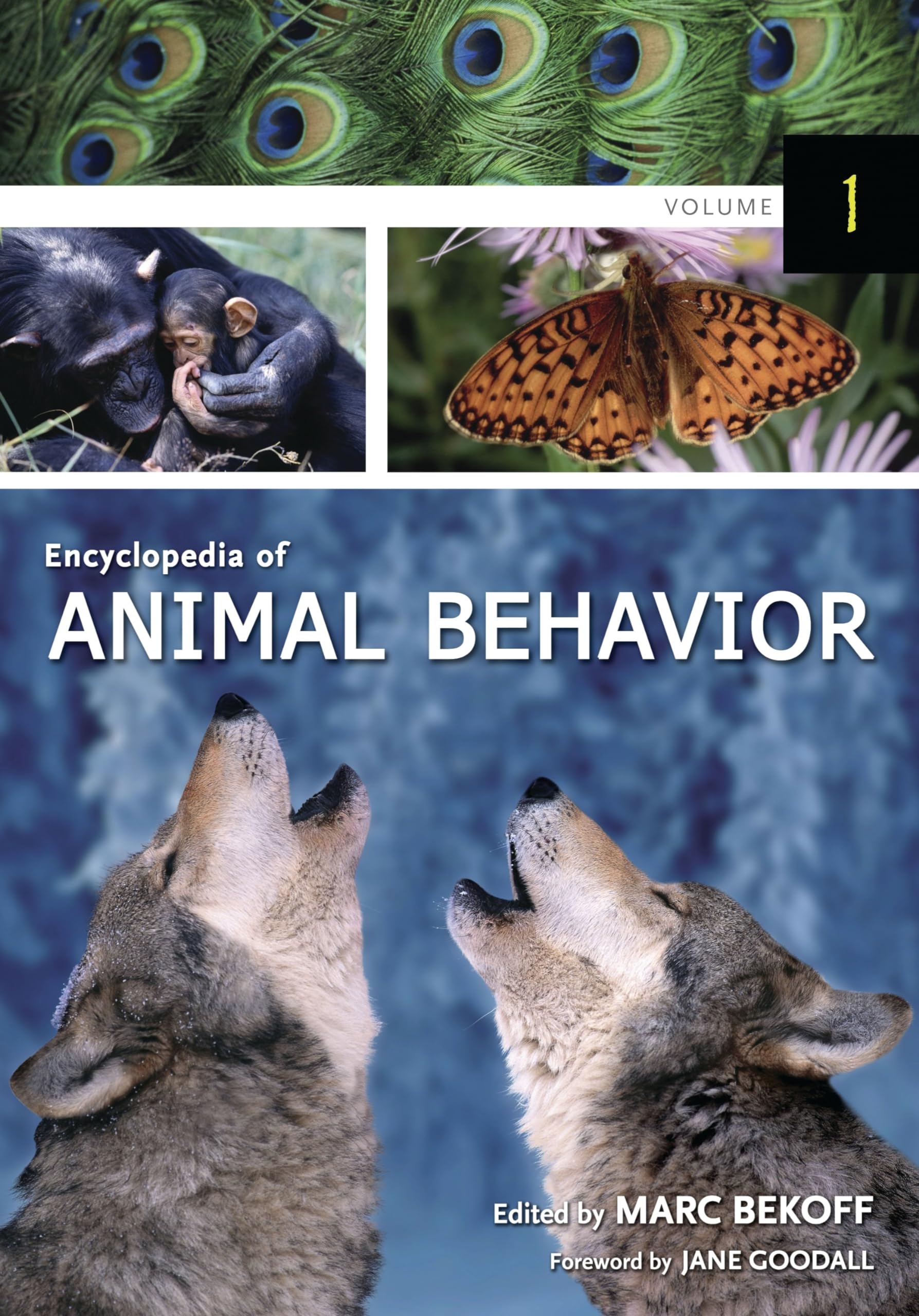 Amazon.com: Encyclopedia of Animal Behavior (3 Vol. Set): 9780313327452 ...
