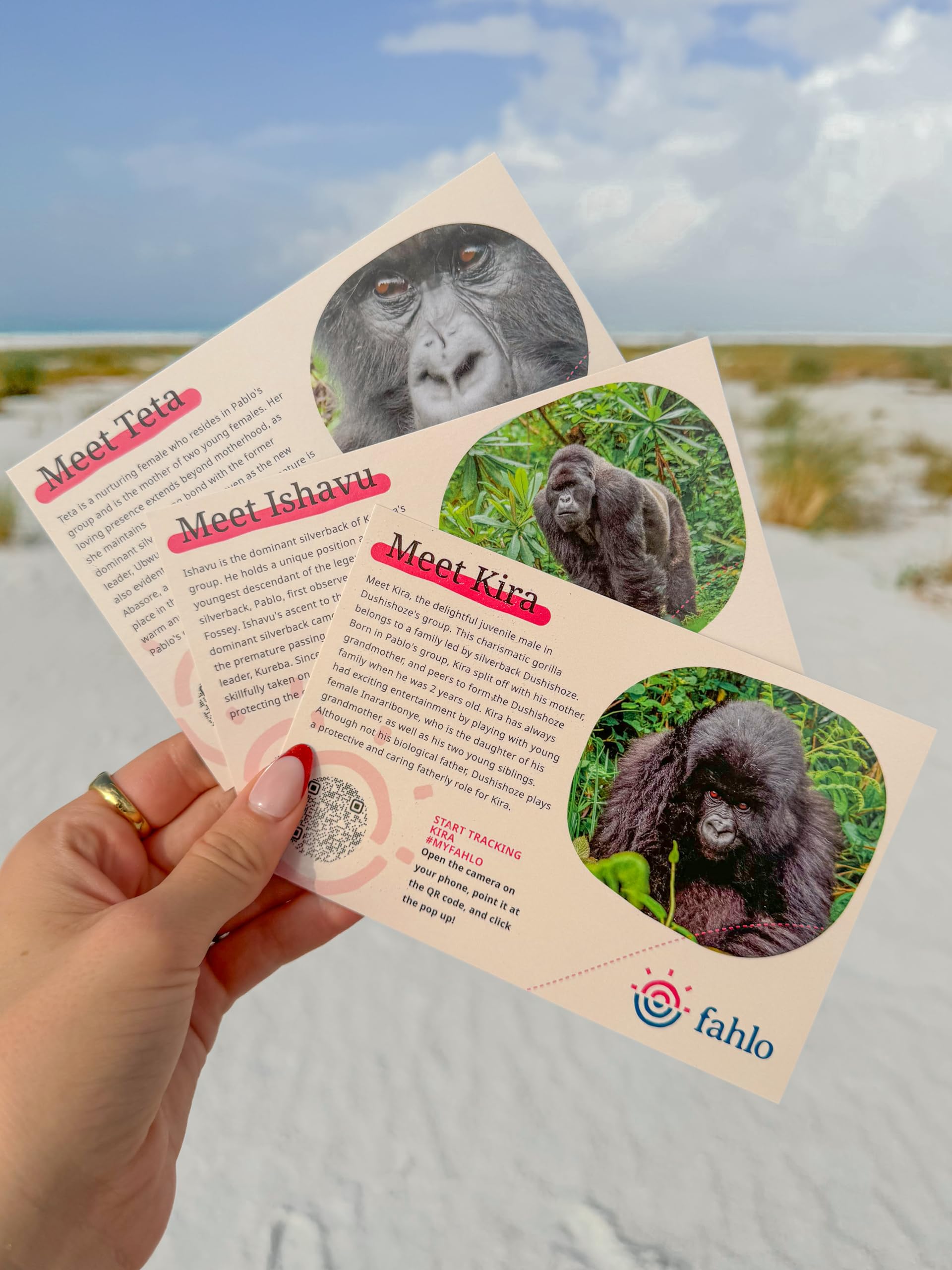 Snapklik.com : Fahlo Gorilla Tracking Bracelet, Elastic, Supports Dian ...