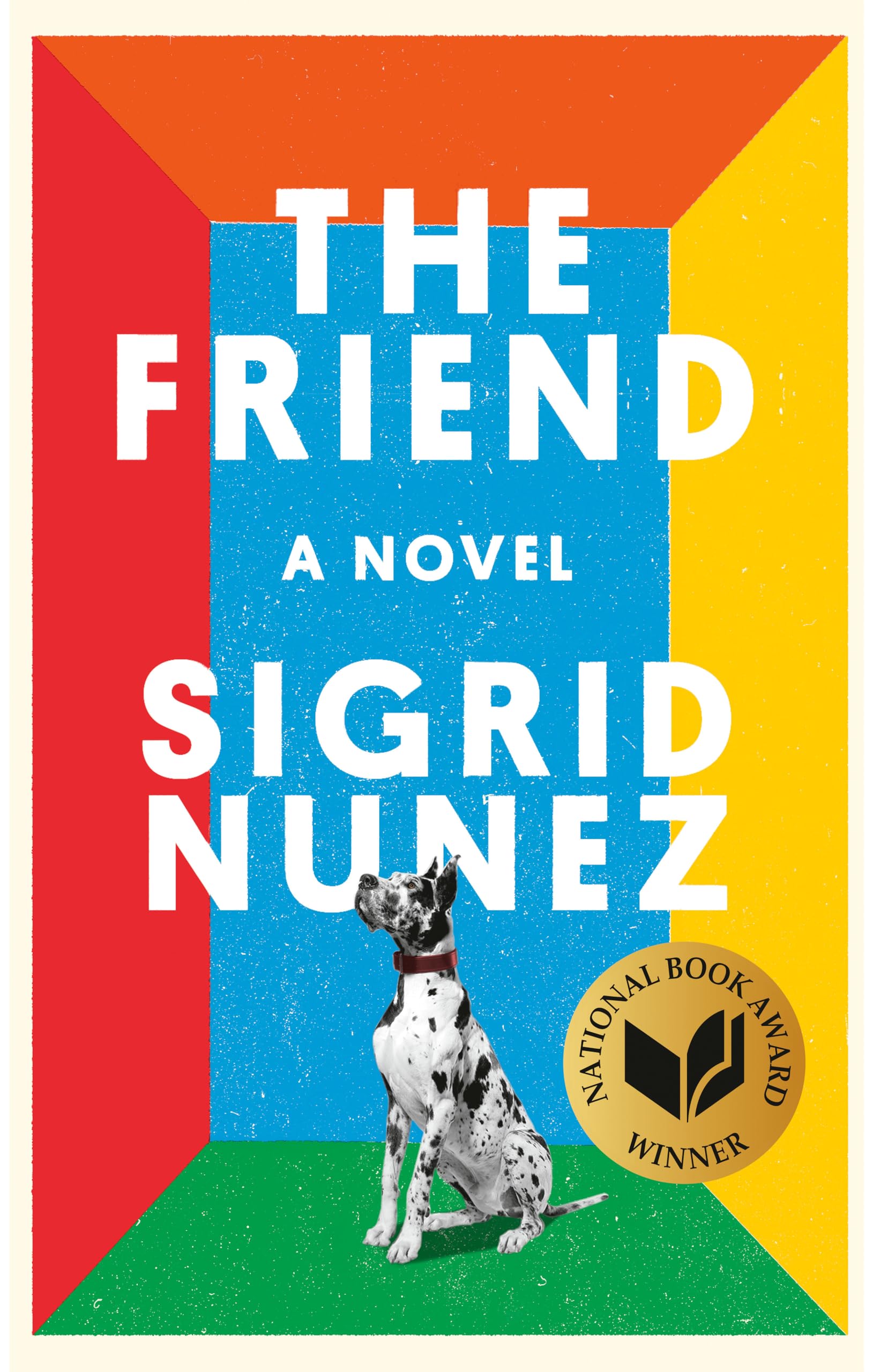 Amazon.com: The Friend (National Book Award Winner): A Novel ...