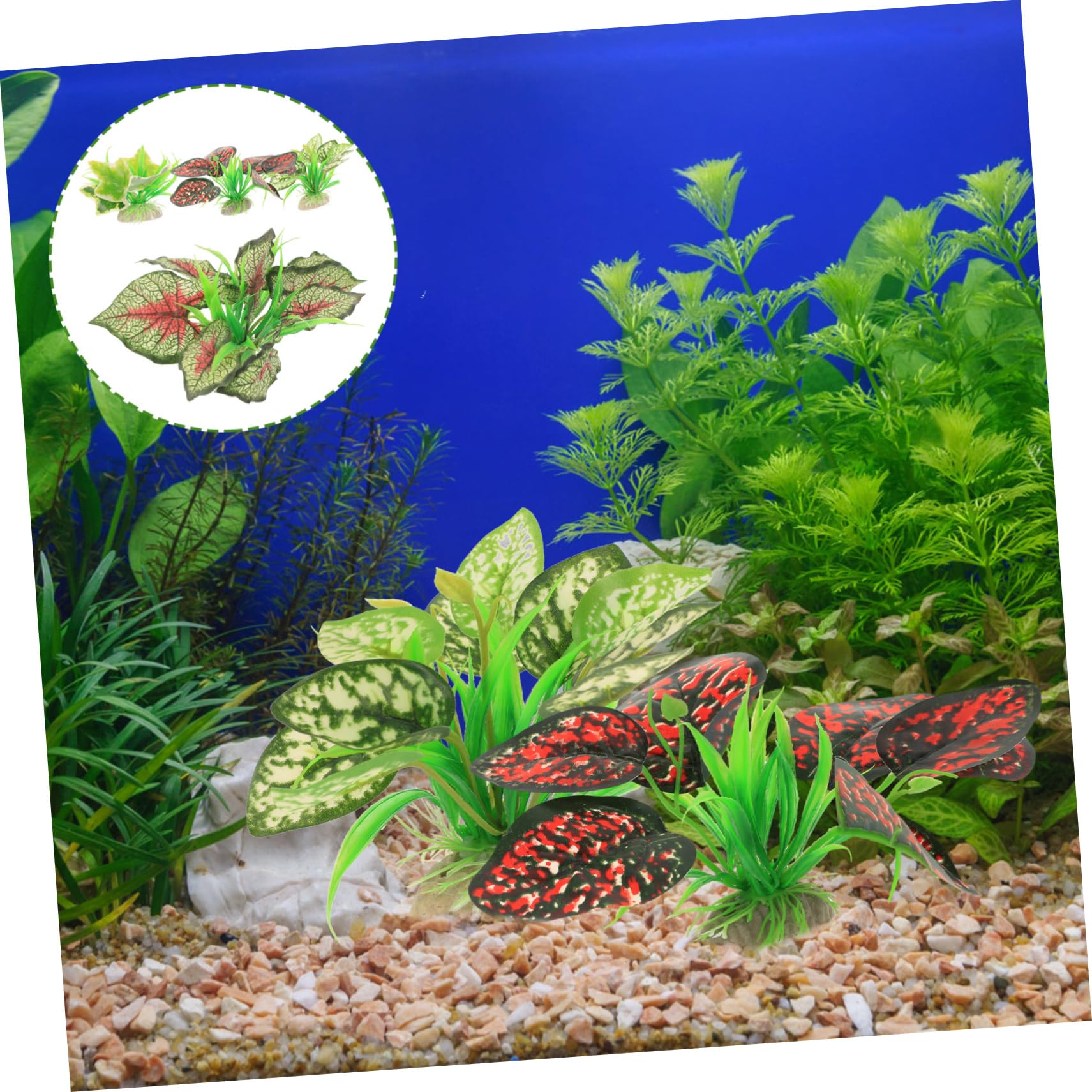 Bedroom With Aquarium Plants Aquatic Plant Aquarium Background, Green
