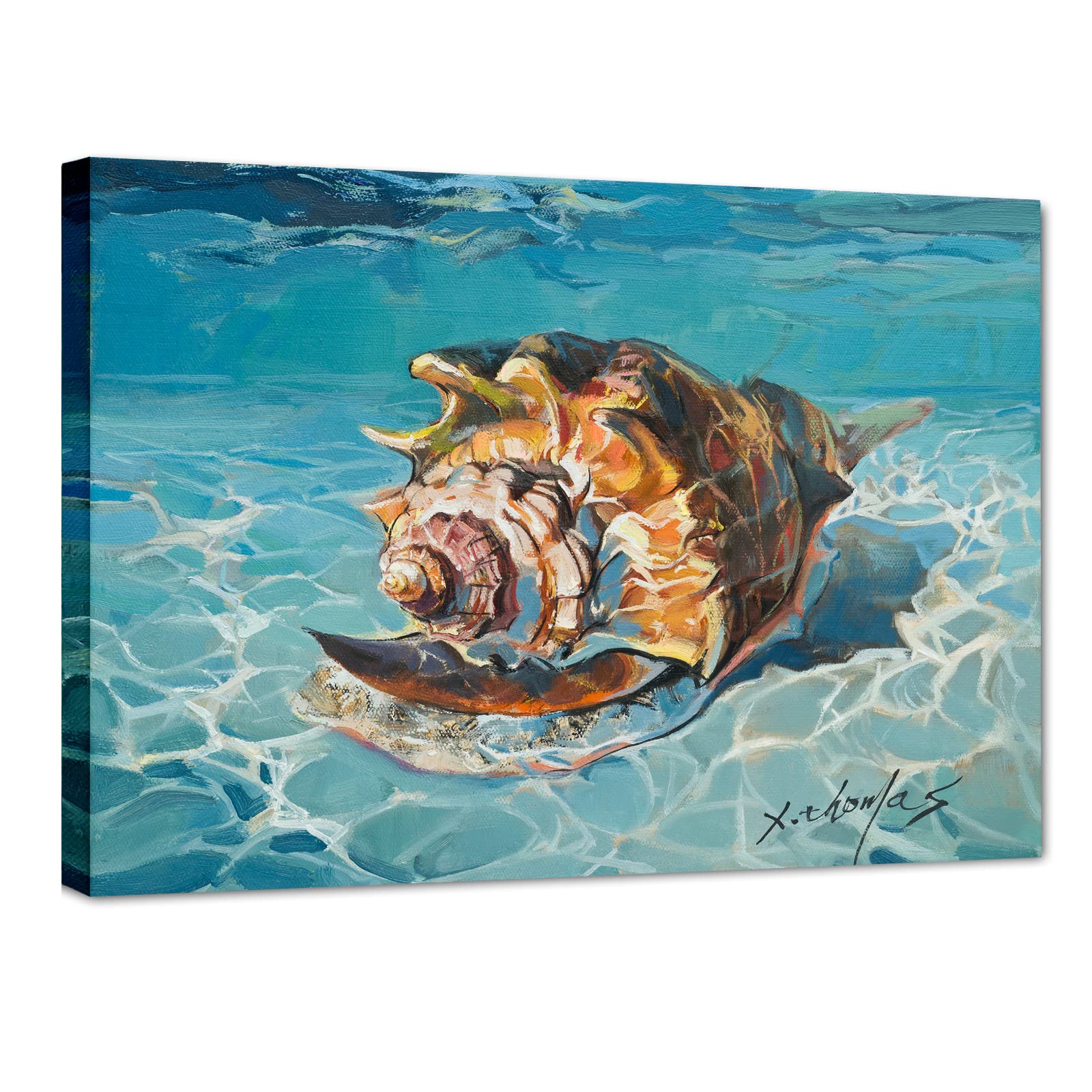 Amazon.com: Conch Shell Canvas Wall Art Coastal Nautical Wall Decor ...