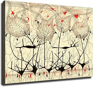 Amazon.com: Nervous System By Camillo Golgi And Santiago Ramon Y Cajal ...