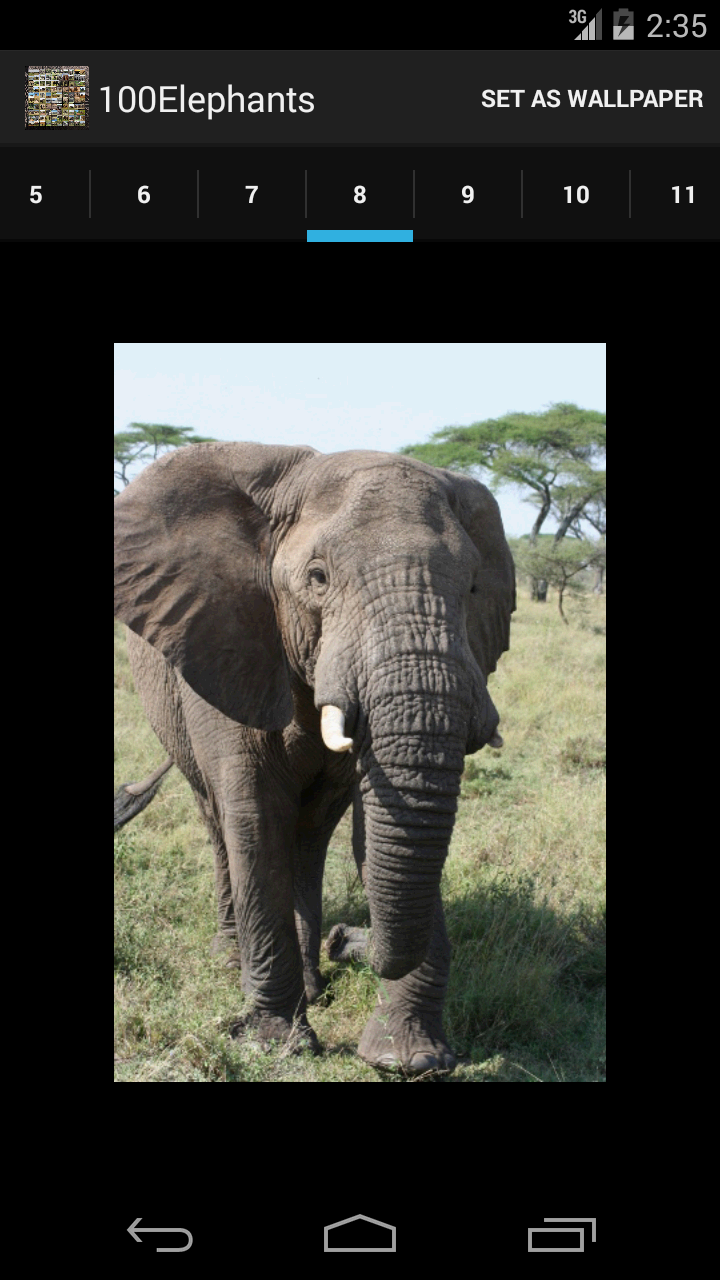 Elephant Wallpaper App:Amazon.com:Appstore for Android