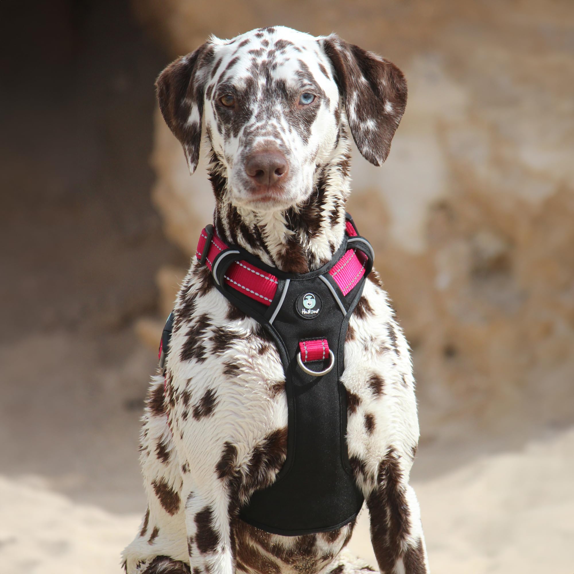 Huskimo Ultimate Dog Harness in Uluru - Large : Amazon.com.au: Pet Supplies