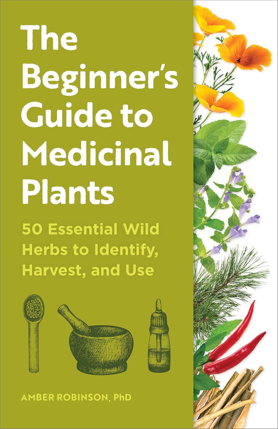 The Beginner's Guide to Medicinal Plants: 50 Essential Wild Herbs to ...