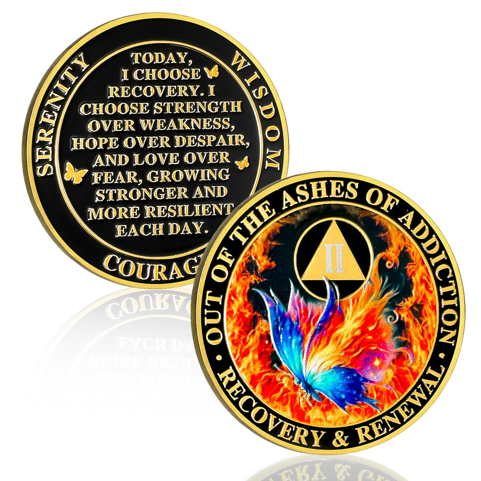 Amazon.com: Butterfly in The Fire 2 Year Sobriety Coin Recovery ...