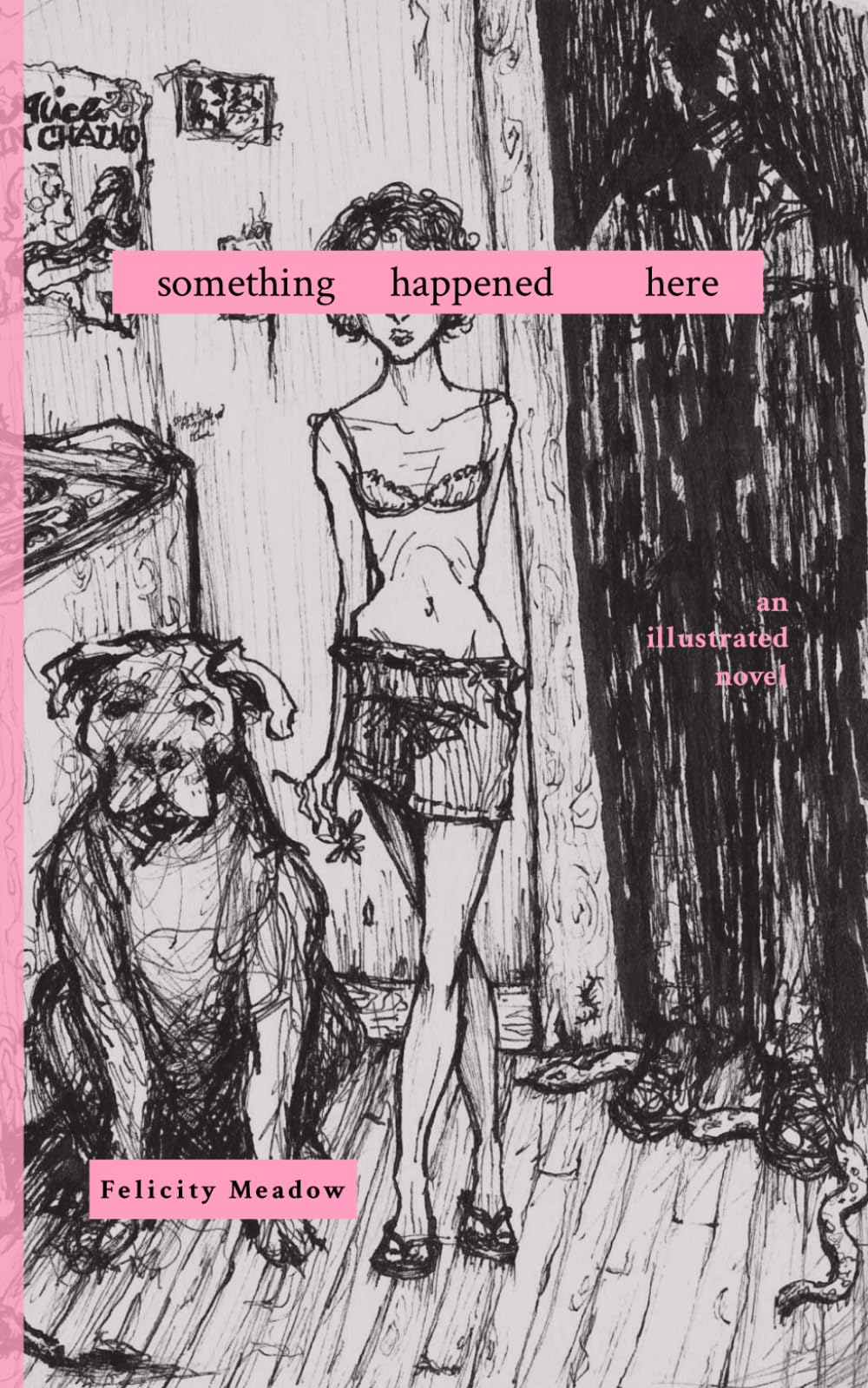 Amazon.com: Something Happened Here: an illustrated novel: 9798336111750: Meadow, Felicity: Books