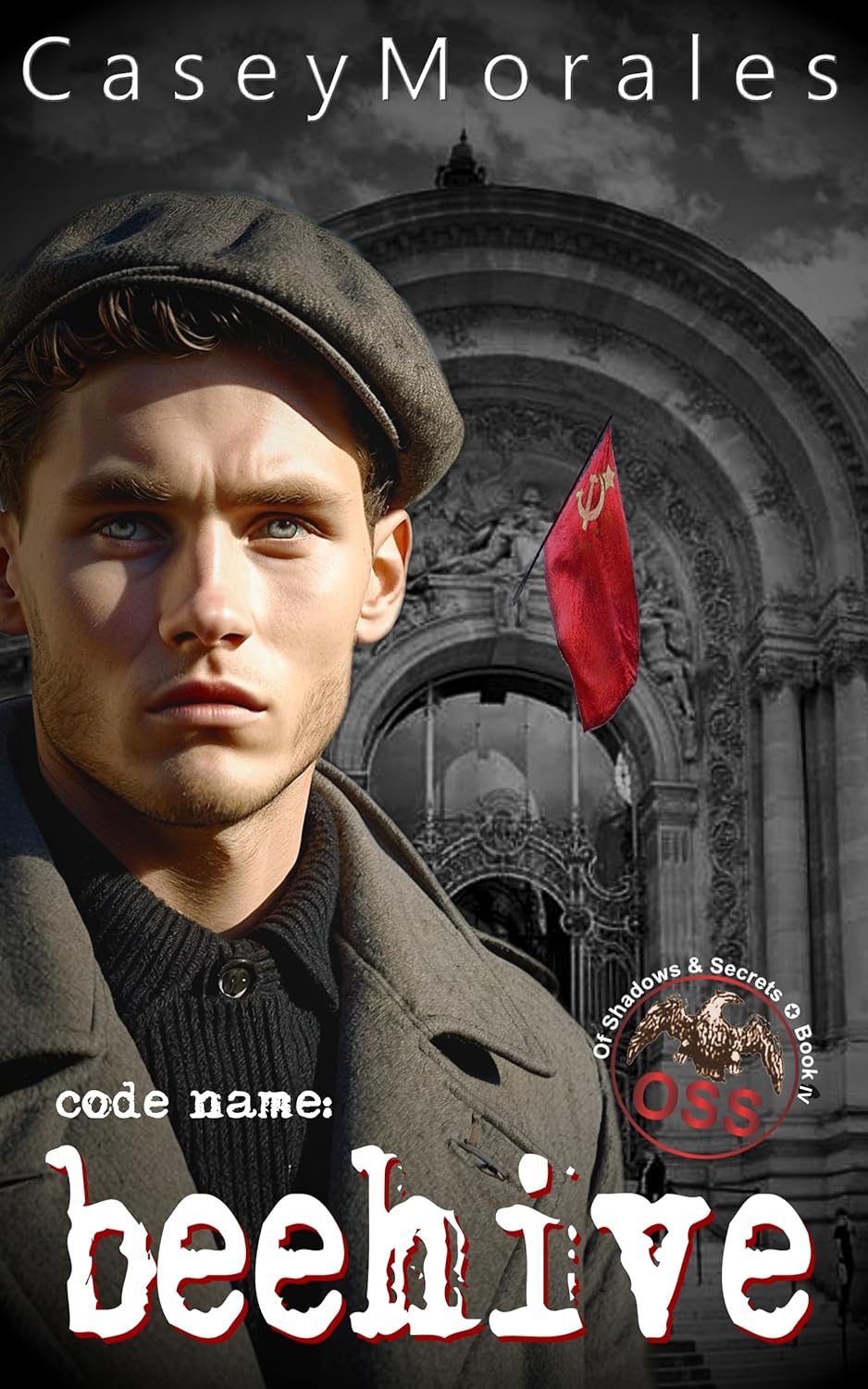 Beehive: A romantic mm espionage thriller (Of Shadows & Secrets Book 4) - Kindle edition by ...