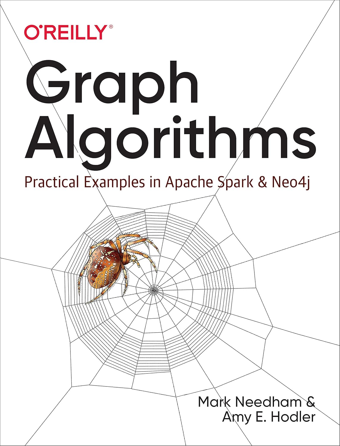 Graph Algorithms Practical Examples In Apache Spark And Neo4j Needham Mark Hodler Amy E
