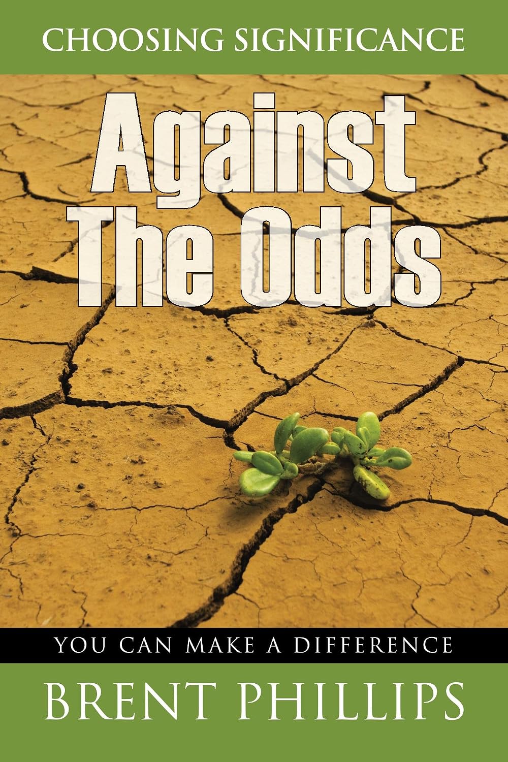 Choosing Significance eBook : Phillips, Brent: Amazon.in: Kindle Store