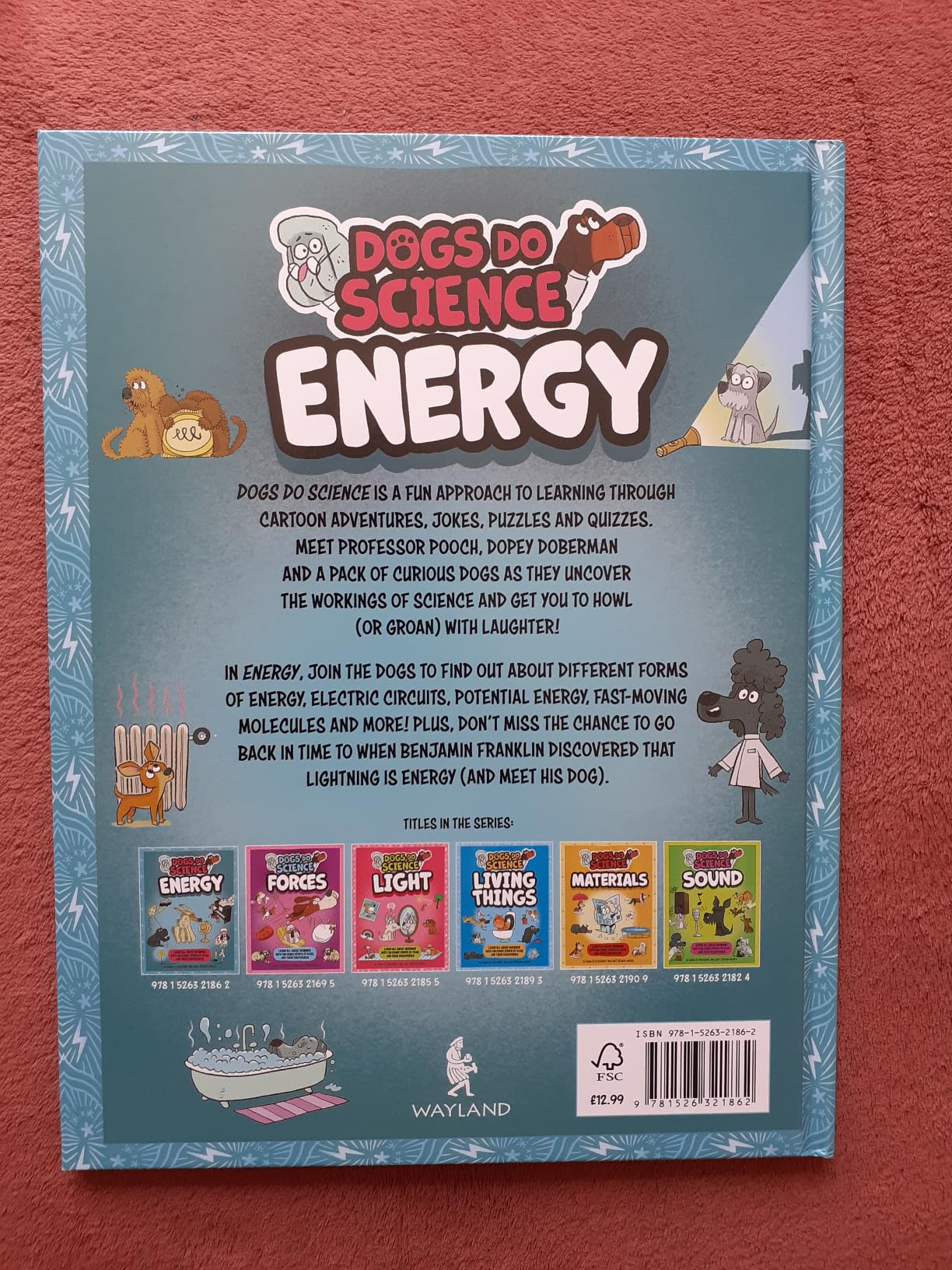 Dogs Do Science: Energy : Claybourne, Anna, Séguin-Magee, Luke: Amazon ...