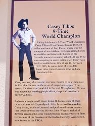 Amazon.com: Floating Horses: The Life of Casey Tibbs : Justin Koehler ...