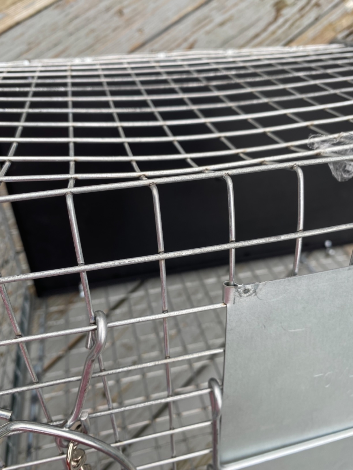 Amazon.com : Tomahawk Live Trap - Model 306NC - Tomahawk TNR Series ...