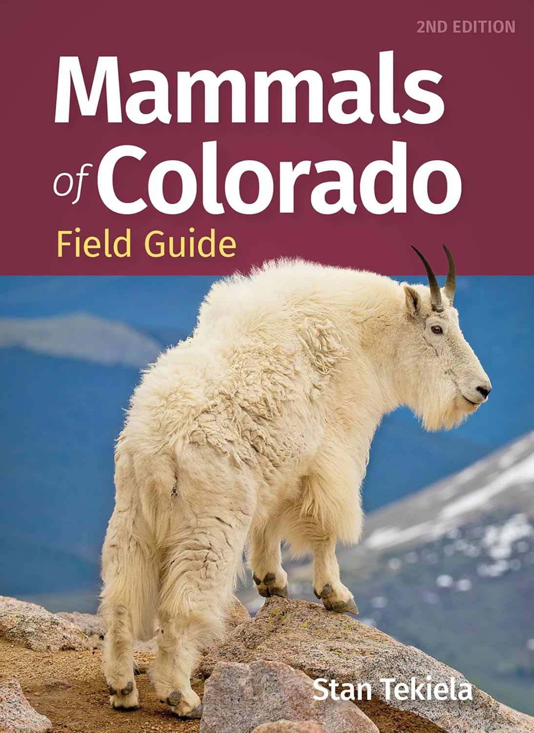 Amazon | Mammals of Colorado Field Guide (Mammal Identification Guides ...