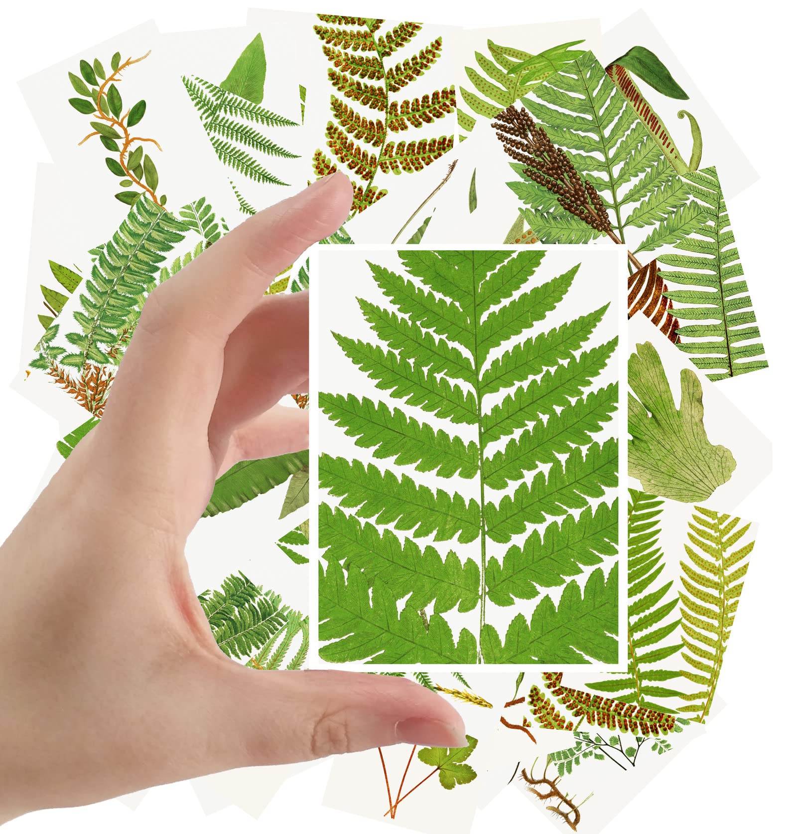 Snapklik.com : Large Stickers 24 Pcs