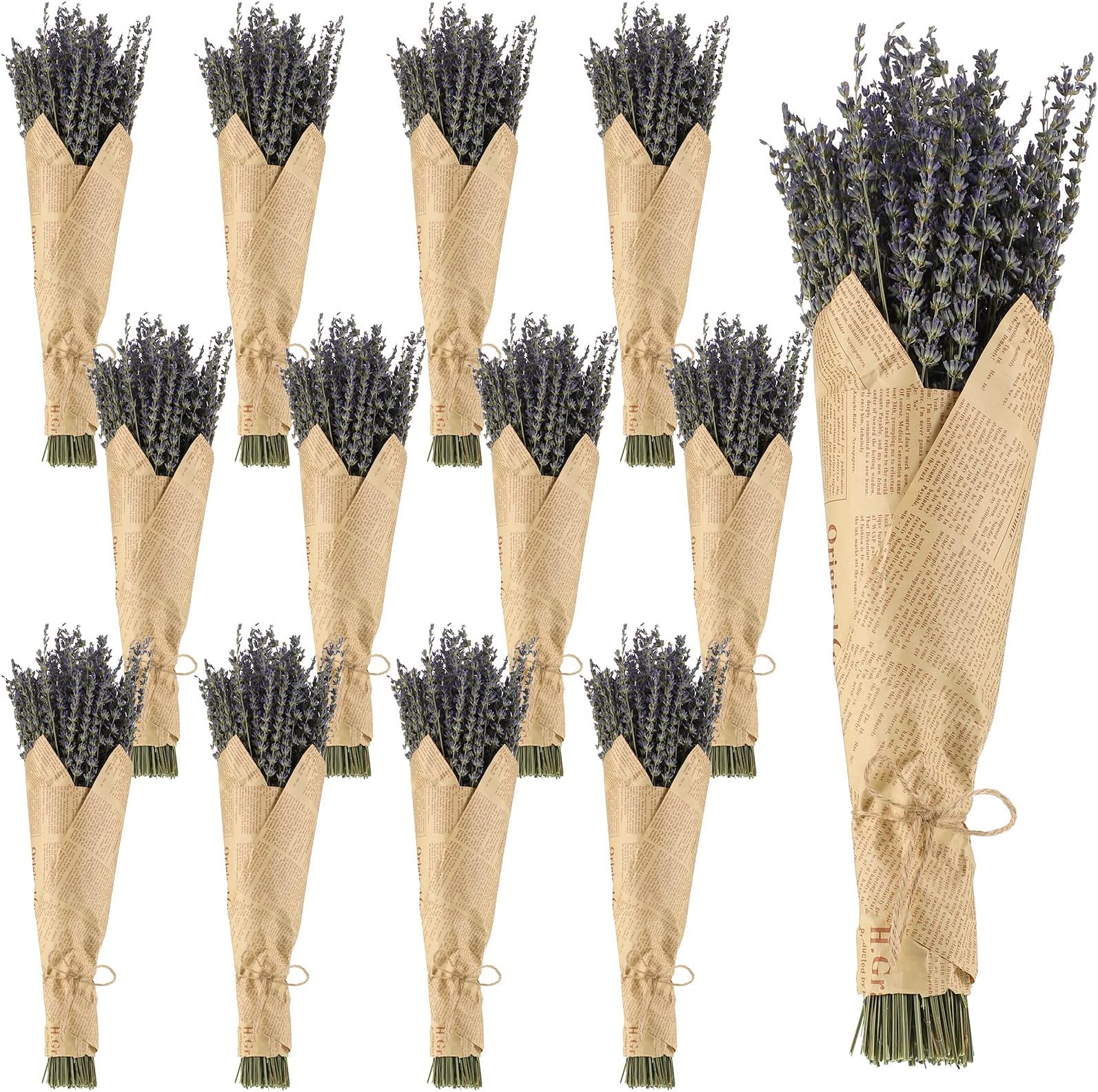 Amazon.com: 12 Pack Dried Lavender Bundle Organic Lavender Flowers Bulk ...