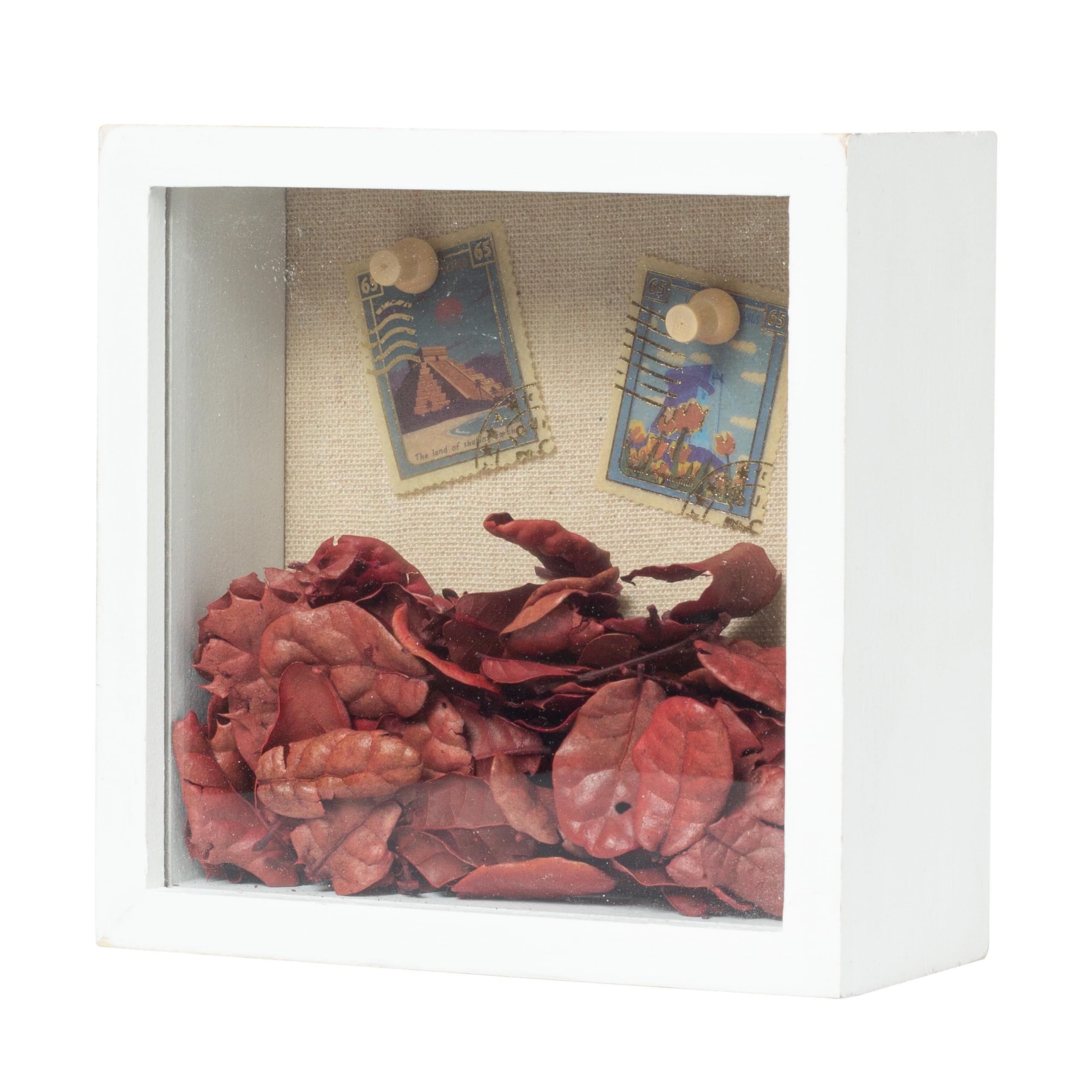 Amazon.com: Increased Fire Shadow Box Frame 6x6 Shadow Box Display Case ...