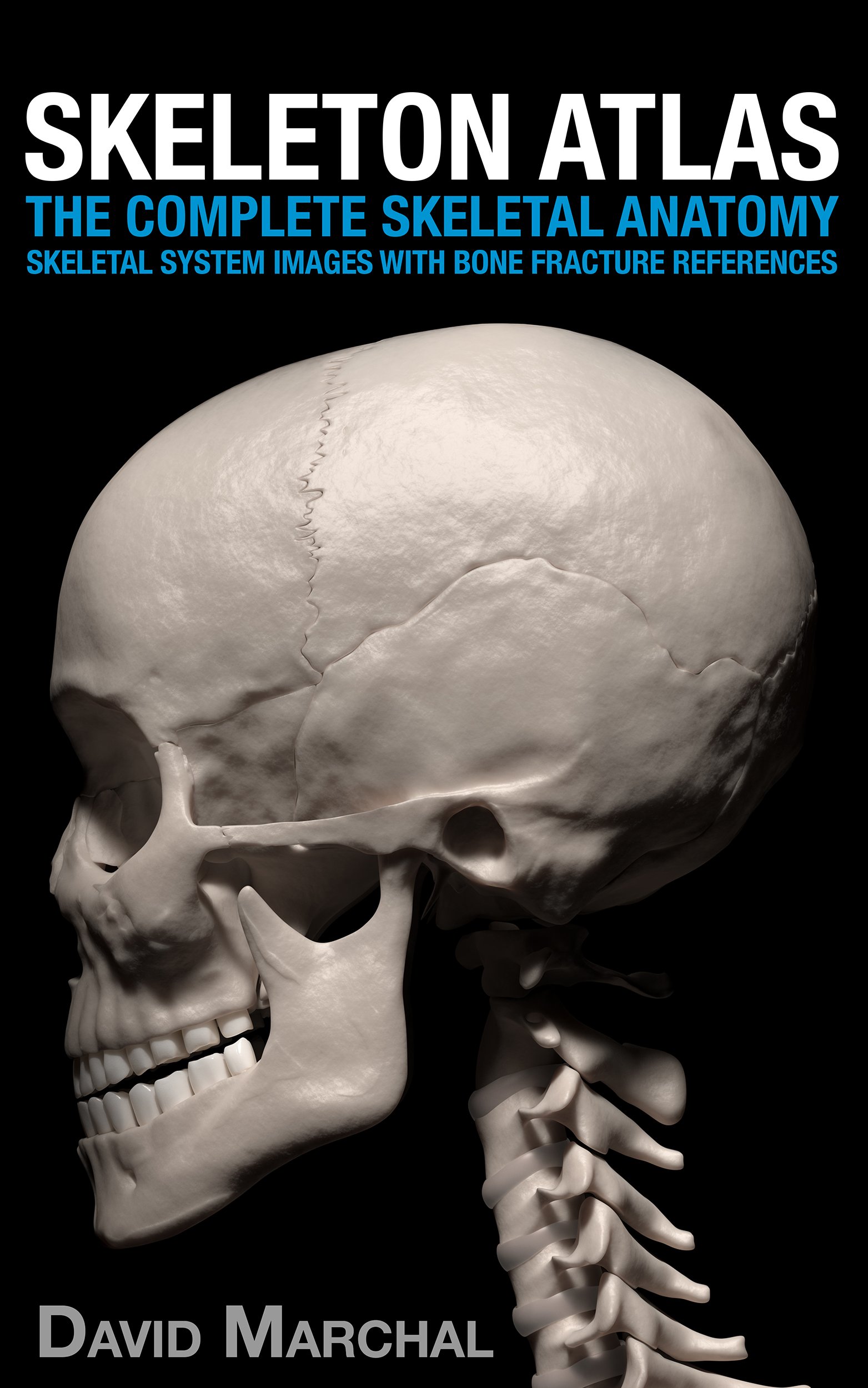 Buy Skeleton Atlas: The complete Skeletal Anatomy: Skeletal System ...