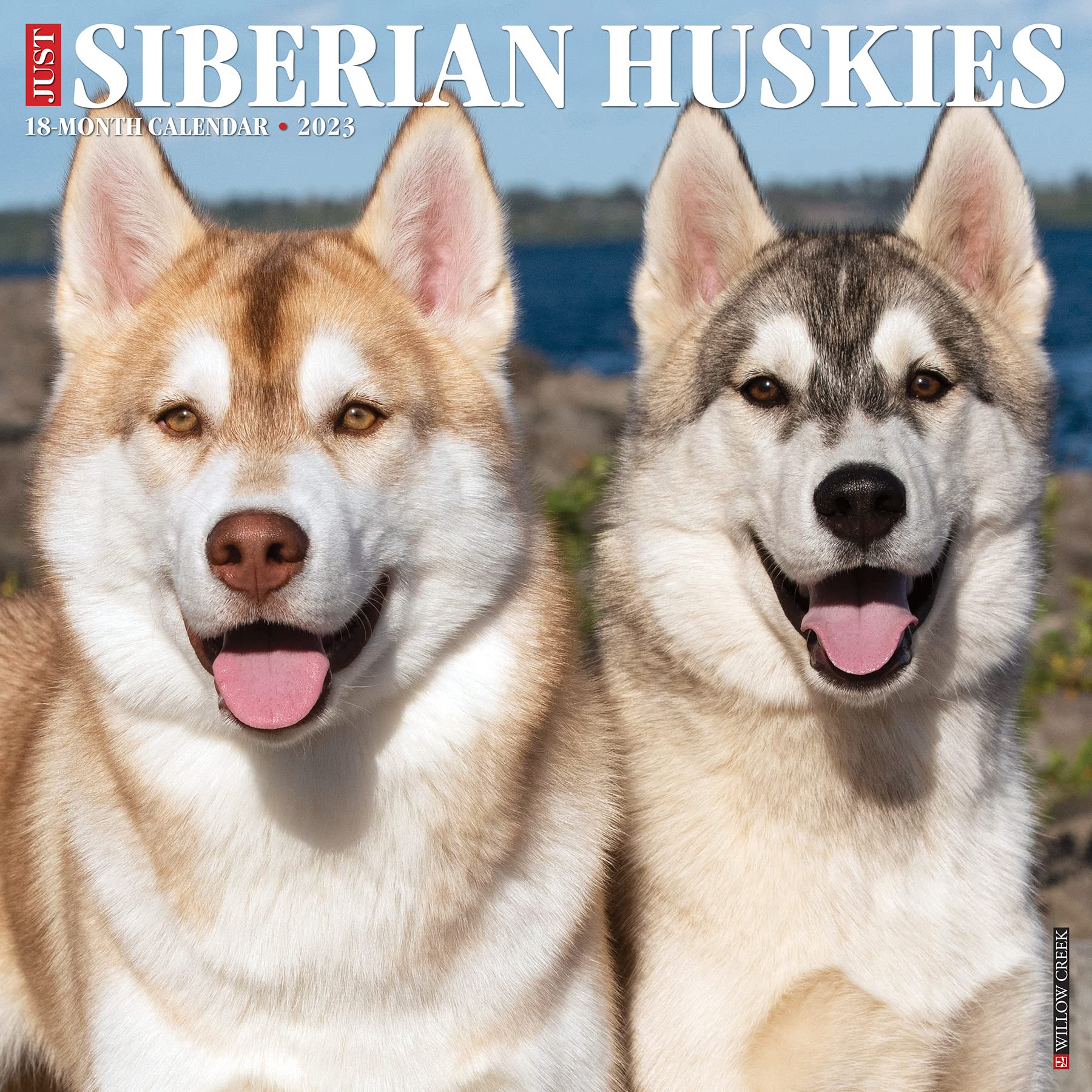 Are Siberian Huskies Playful