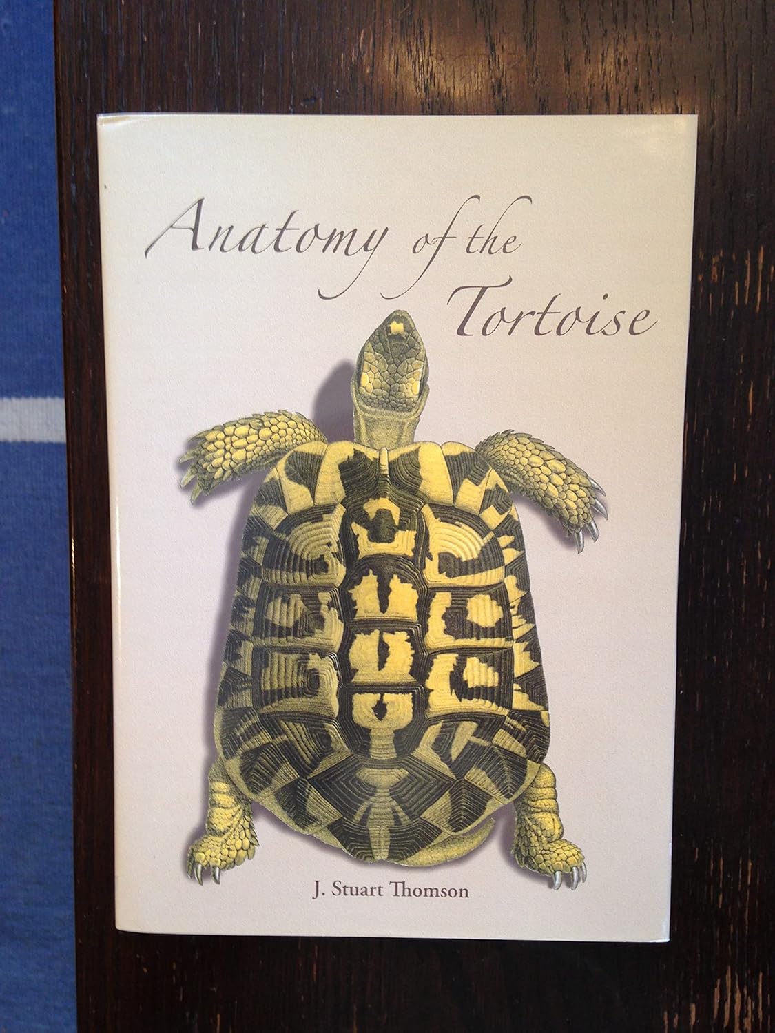 Buy The Anatomy of the Tortoise Book Online at Low Prices in India ...