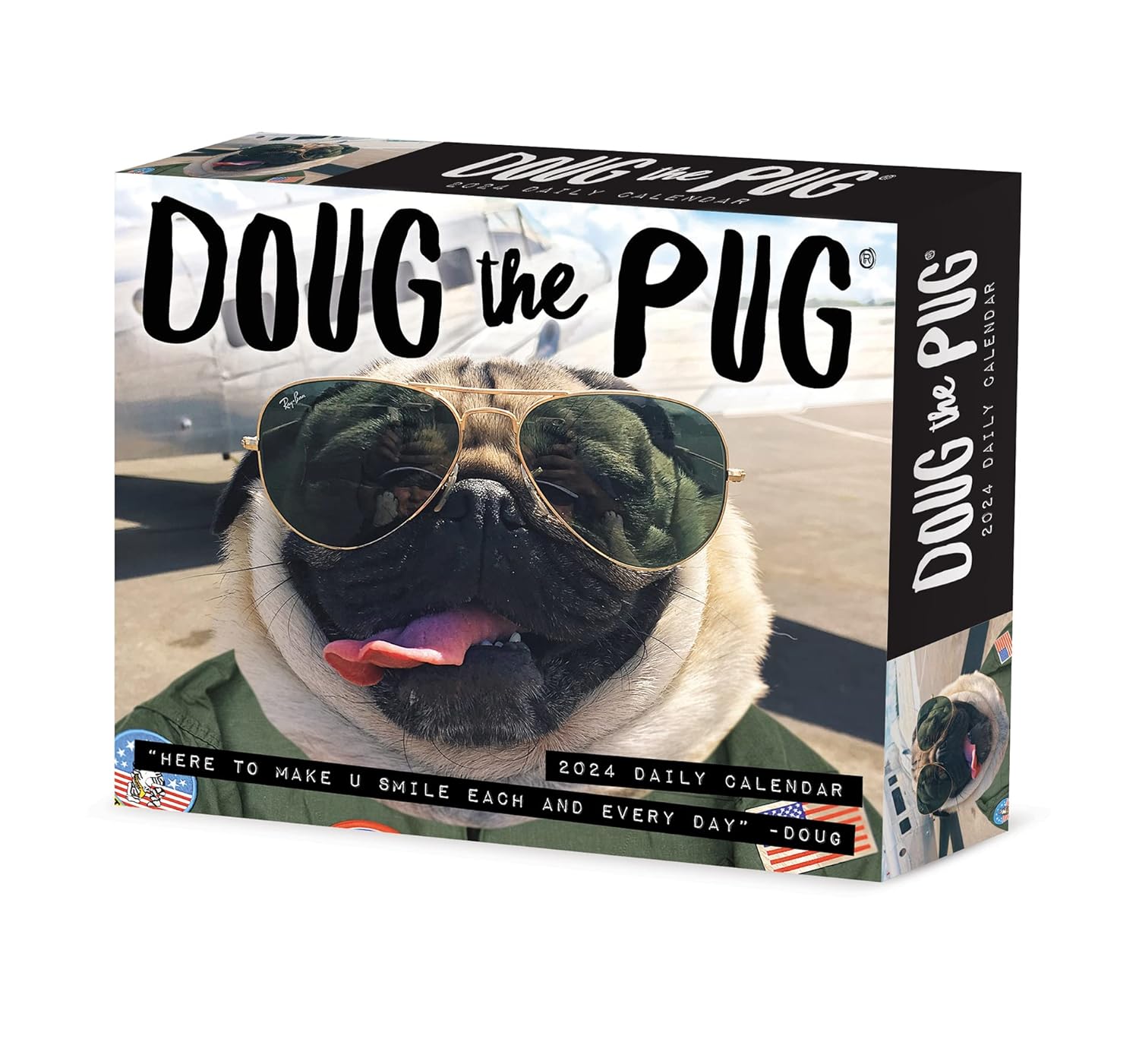 Doug the Pug 2024 Box Calendar: Amazon.co.uk: Willow Creek Press ...