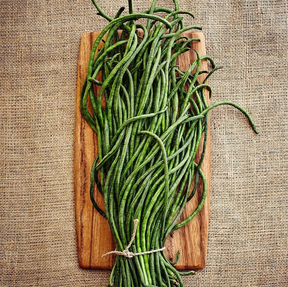 Amazon.com : TomorrowSeeds - Yu Long Yard Long Bean Seeds - 30+ Count ...
