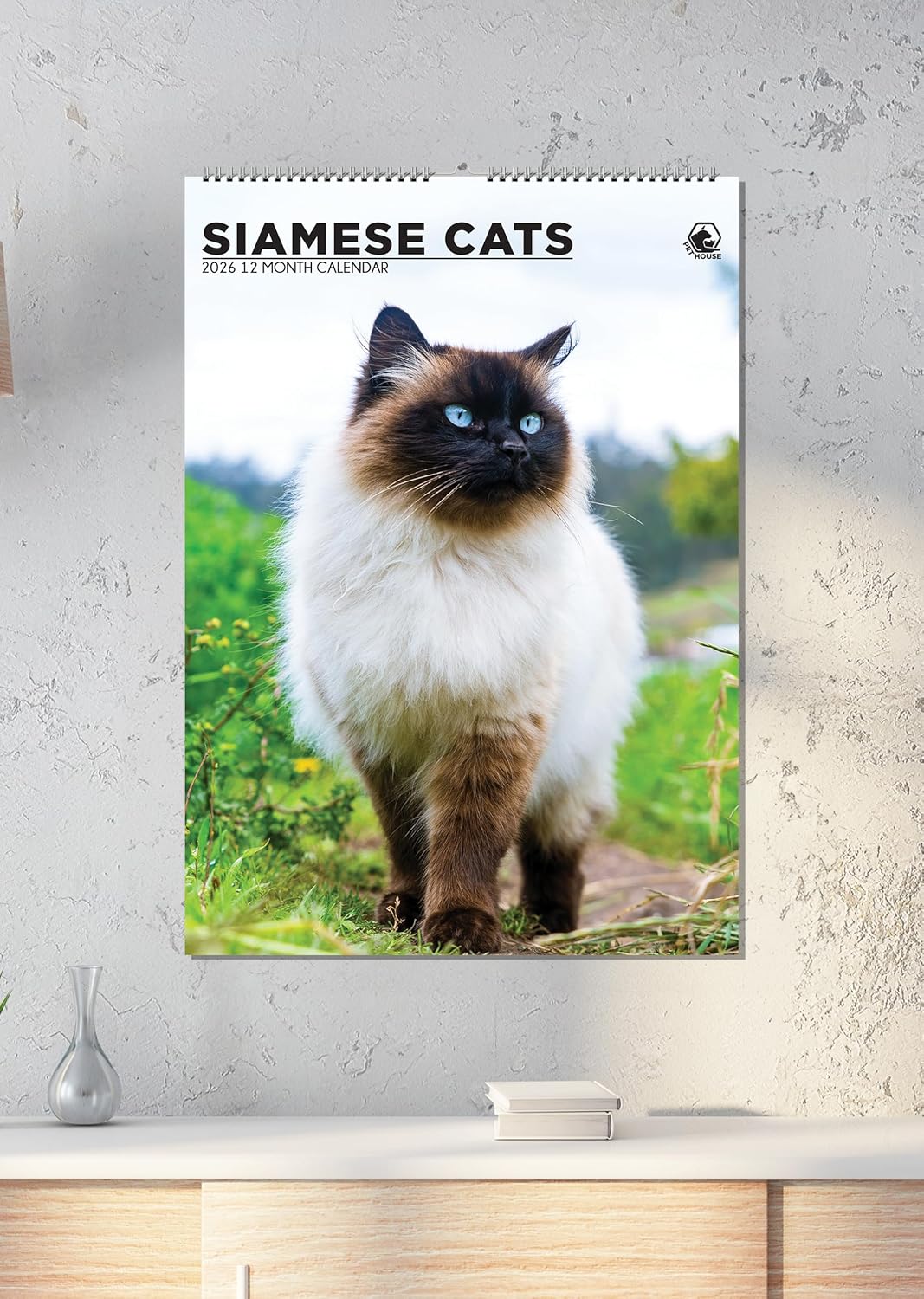 Amazon.com: Siamese Cats Calendar 2026 – Elegant Beauty & Playful ...