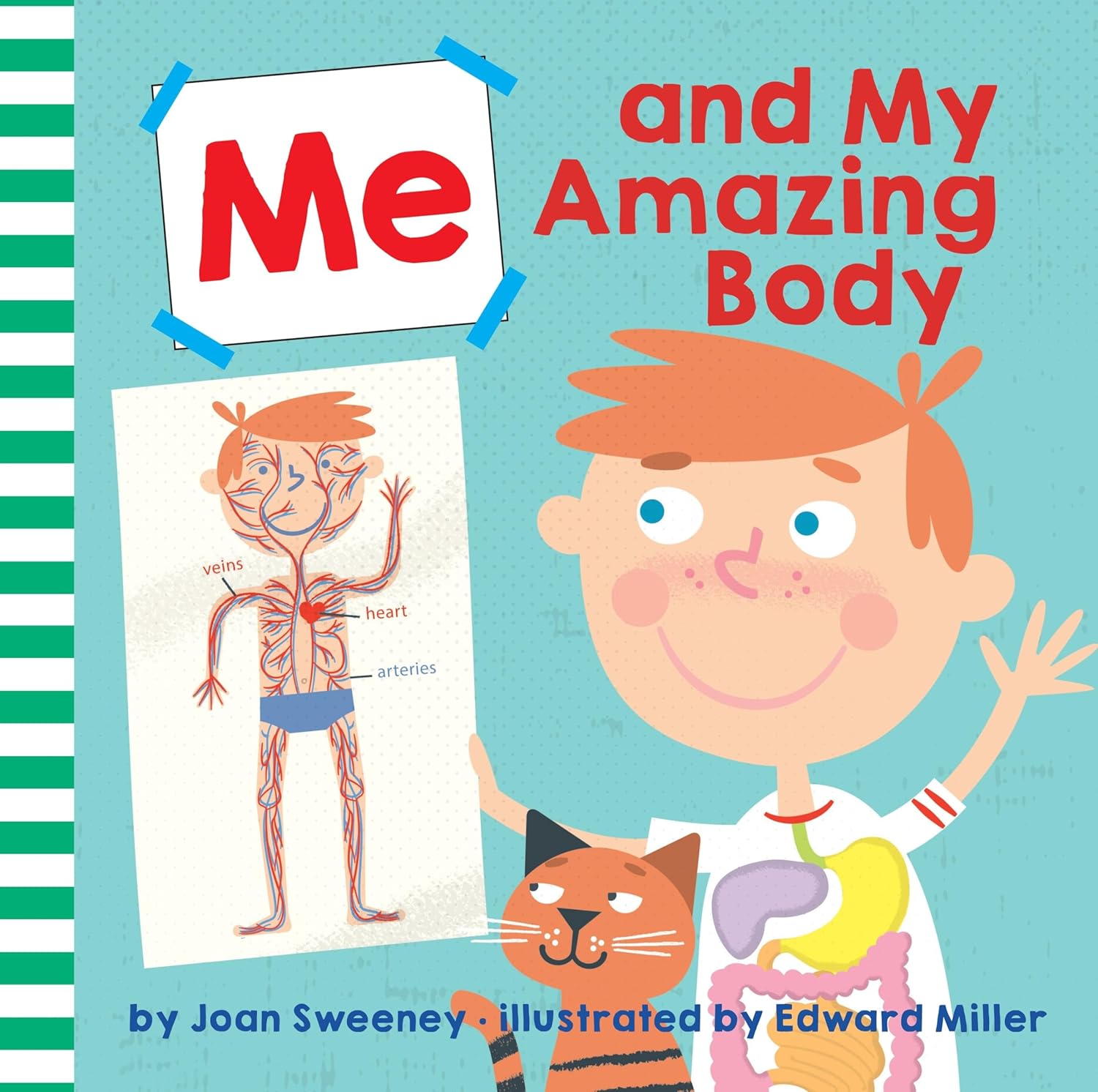 Me and My Amazing Body: Sweeney, Joan, Miller, Ed: 9781524773595 ...