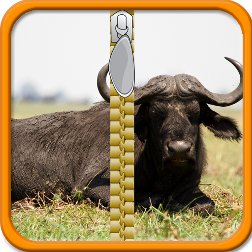 Wild Animal Zipper Lock Screen - App on Amazon Appstore