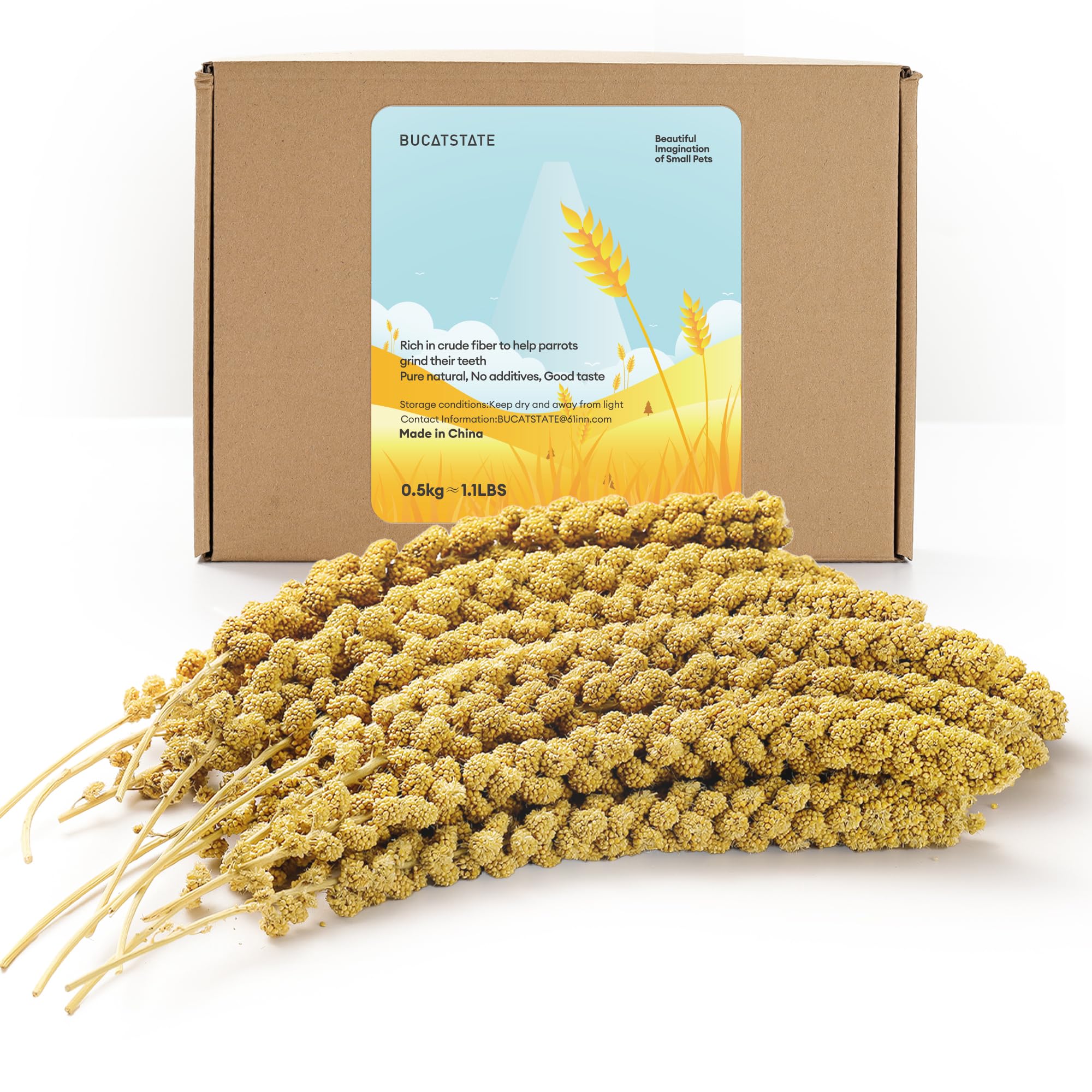 5 Best Purple Majesty Millet | Finest Millet for Healthy Flocks
