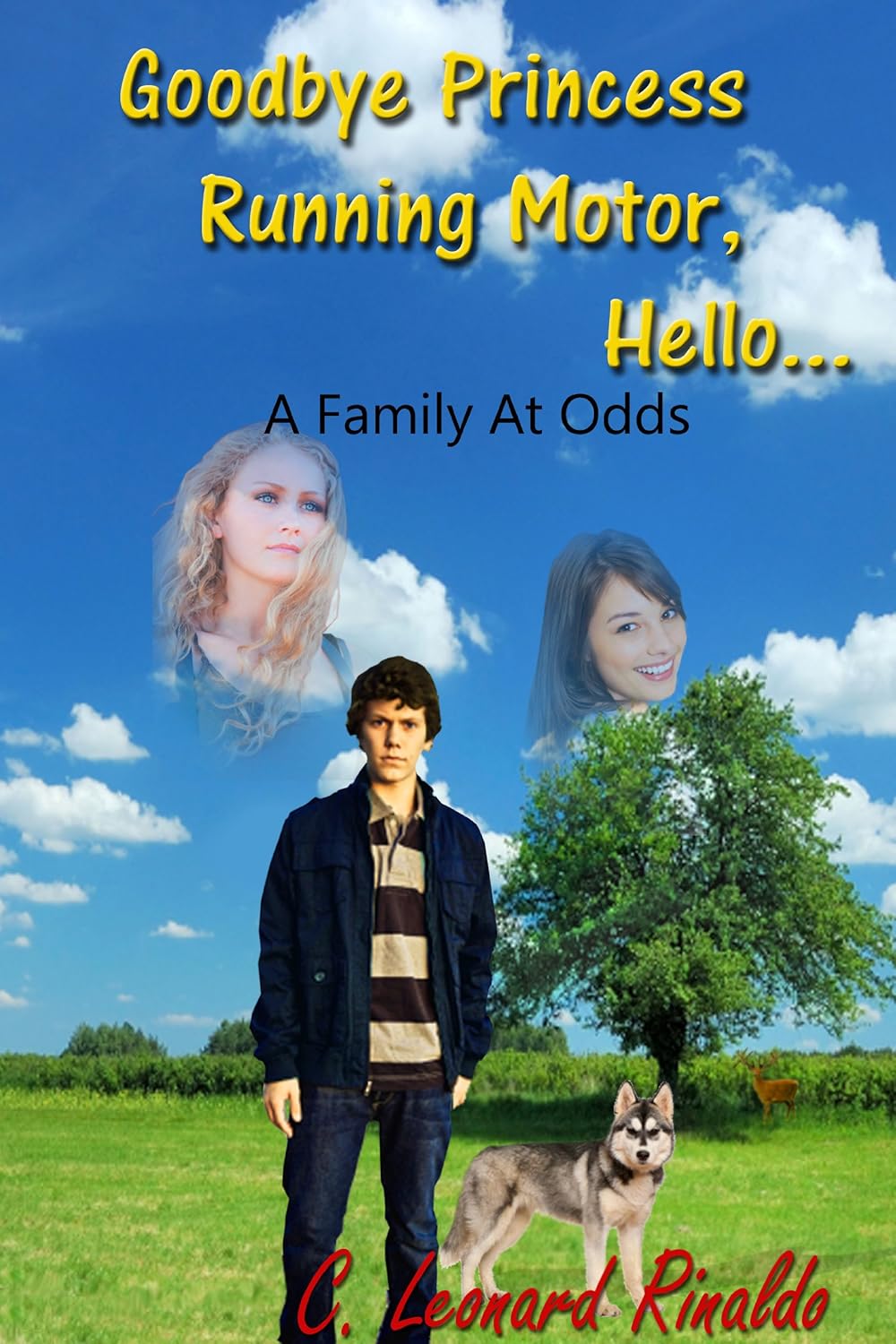 Goodbye Princess Running Motor, Hello (First Book of the Verbena ...