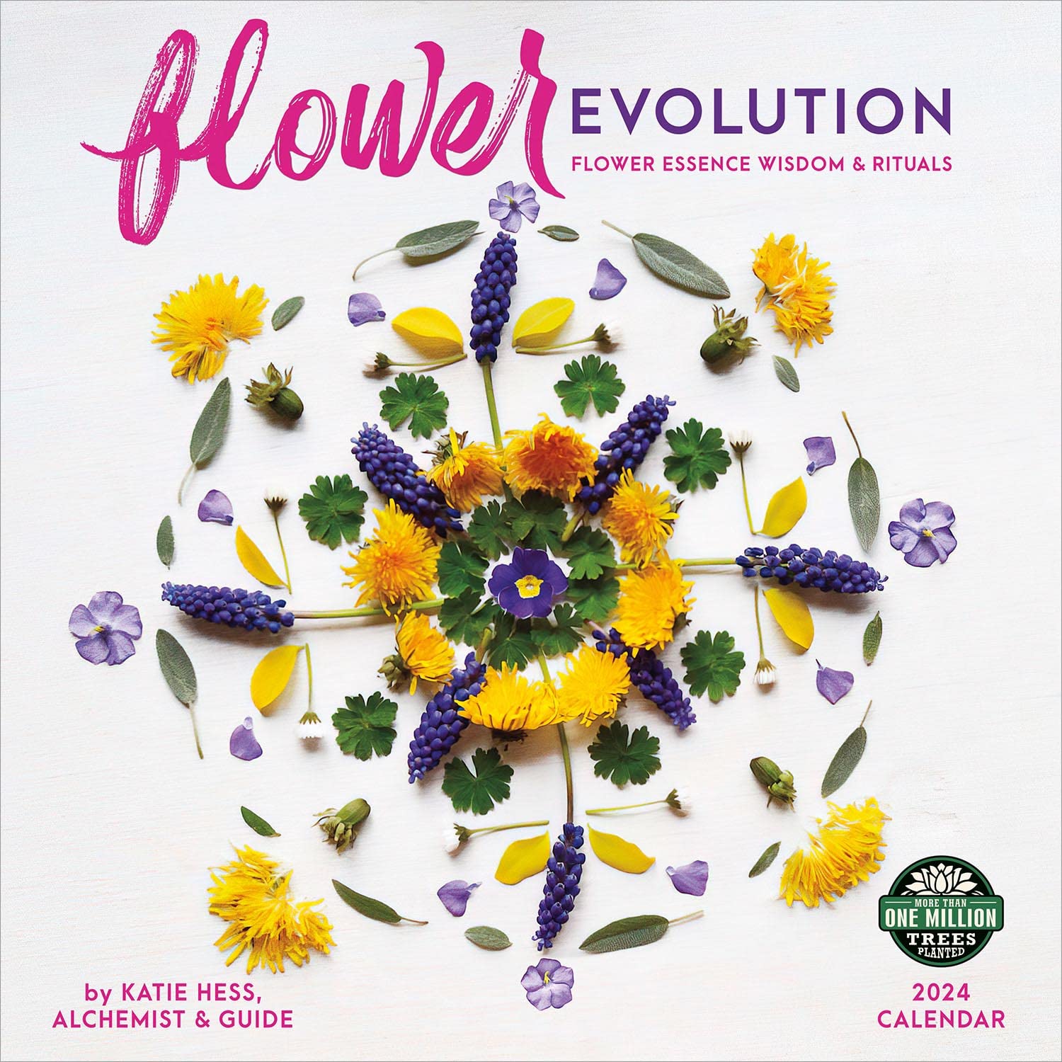 Flower Evolution 2024 Wall Calendar: Flower Essence Wisdom & Rituals by Katie Hess | 12" x 24 ...
