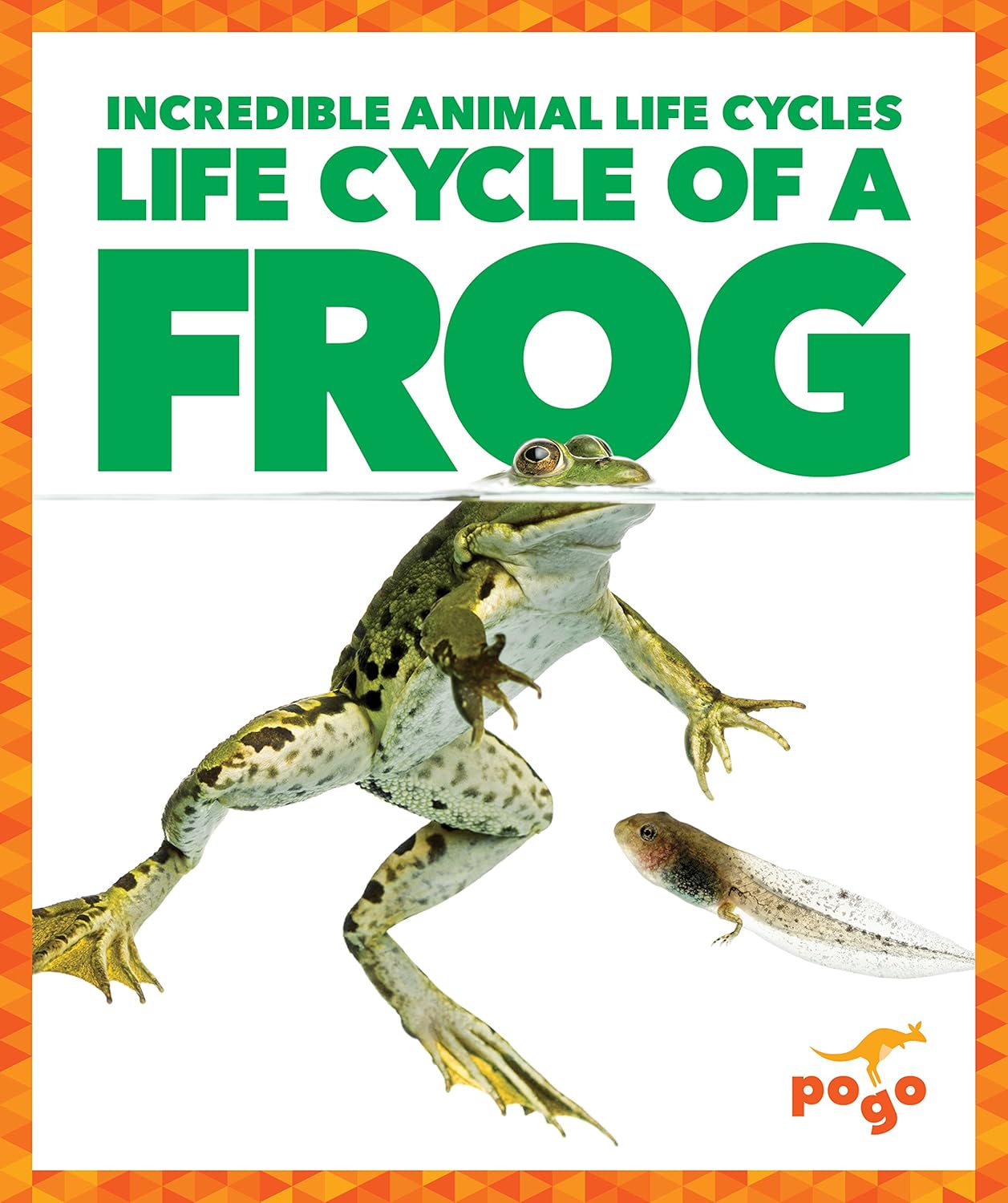 Life Cycle of a Frog (Pogo Books: Incredible Animal Life Cycles): Karen ...