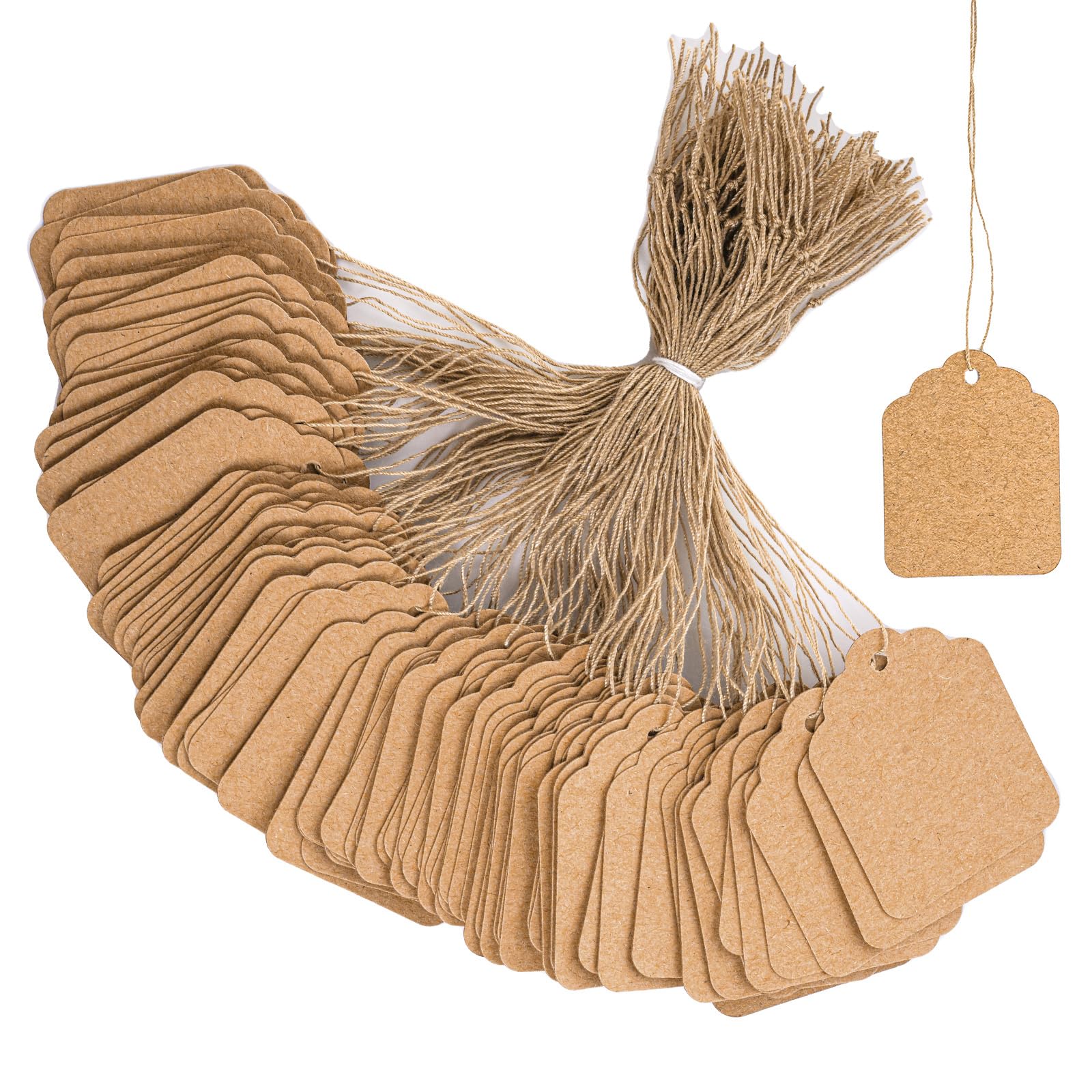 Amazon.com: 500 Pcs Kraft Paper Tags with String Attached Labels ...